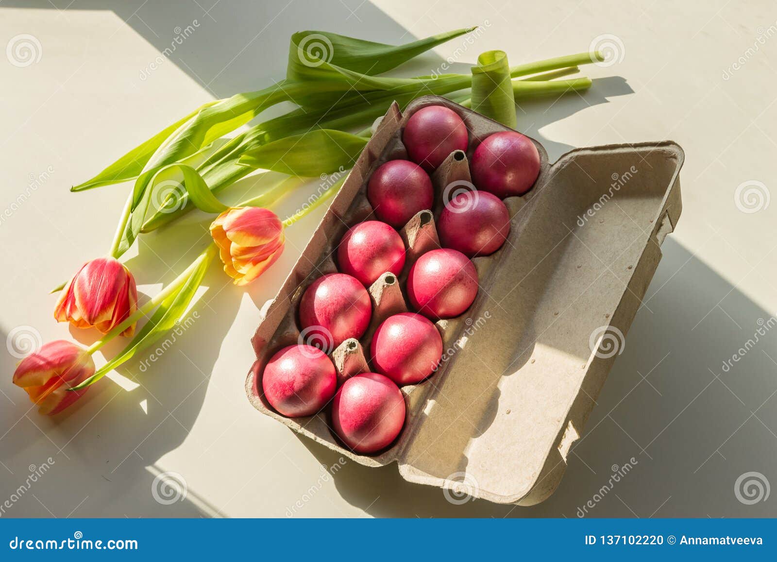 Easter Scene, Painted Eggs in a Box, a Tulip Flower, Top View Stock ...