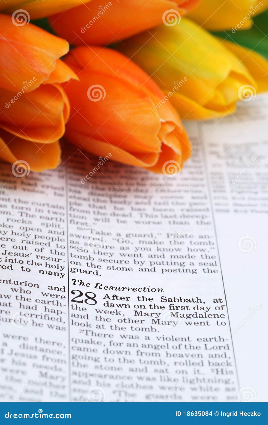 Easter Scripture in Matthew 28 Stock Photo - Image of testament, open ...