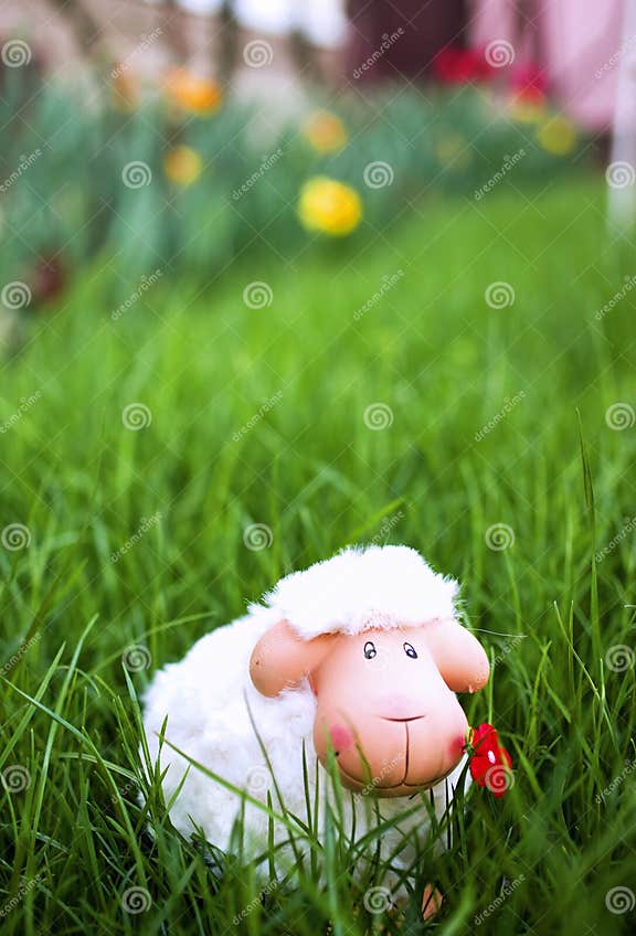 Easter Sheep stock photo. Image of lamb, seasonal, decoration - 19761176