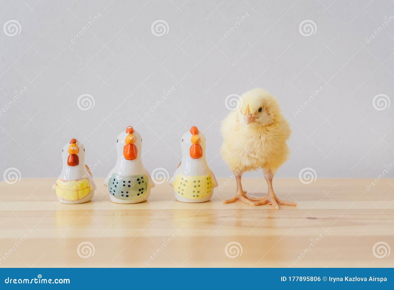 Easter Small Chicken and Toy Chicks is on Table Stock Photo - Image of ...