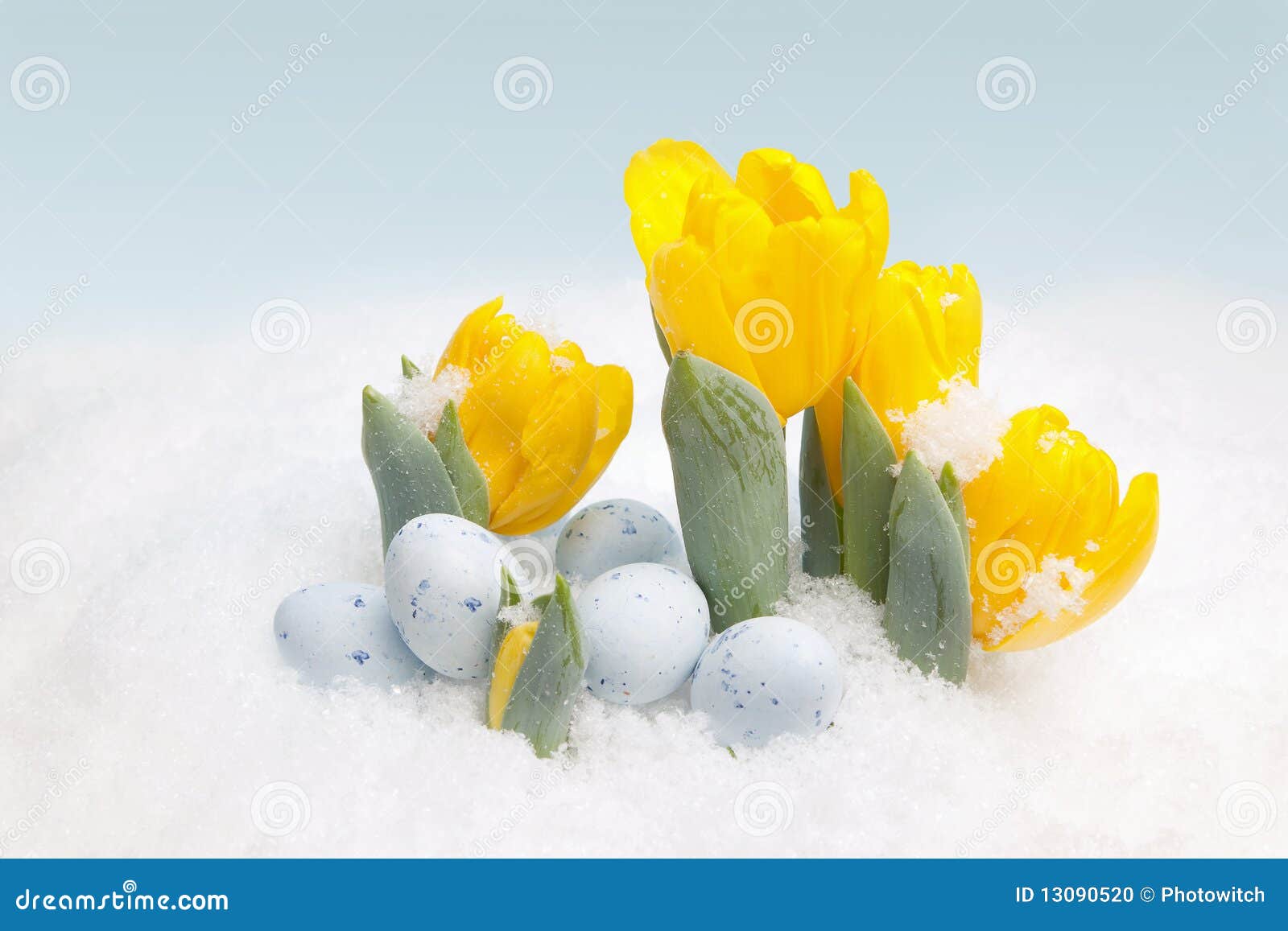Easter snow stock photo. Image of nature, eggs, spring - 13090520