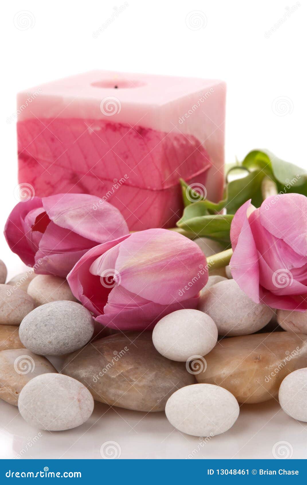 Easter Spa stock image. Image of relaxation, flower, easter - 13048461