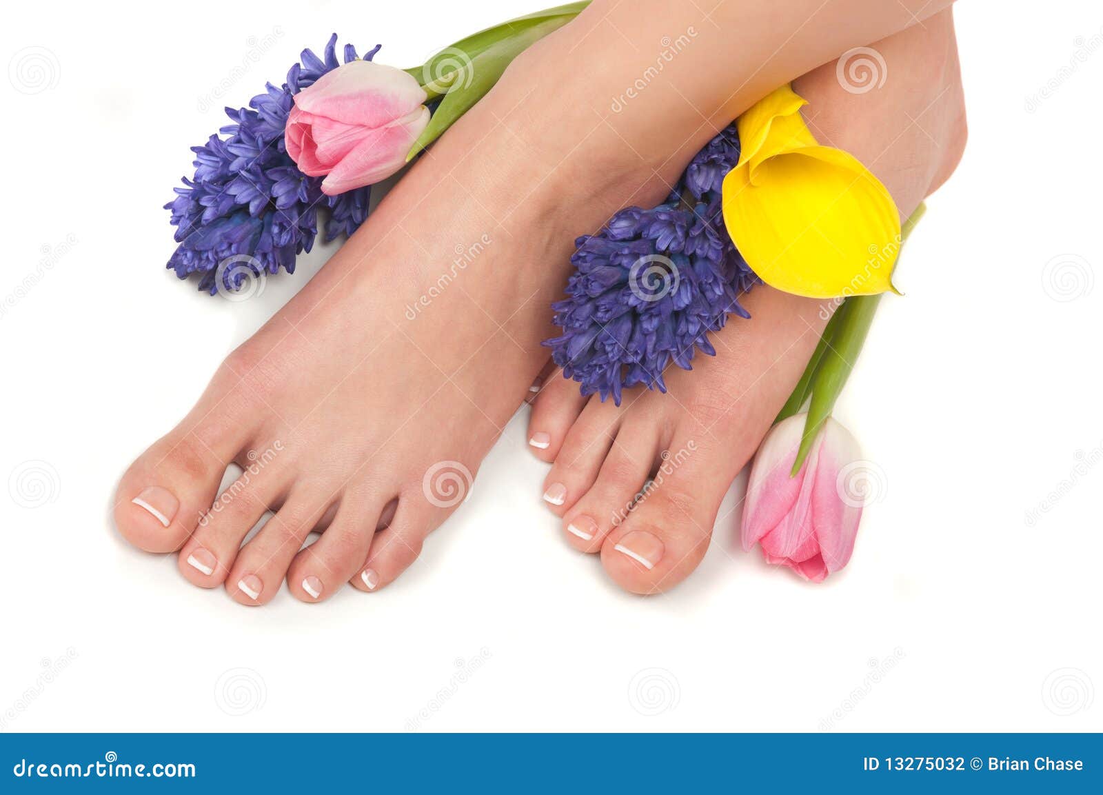 Easter Spa stock photo. Image of aromatherapy, rejuvenate - 13275032