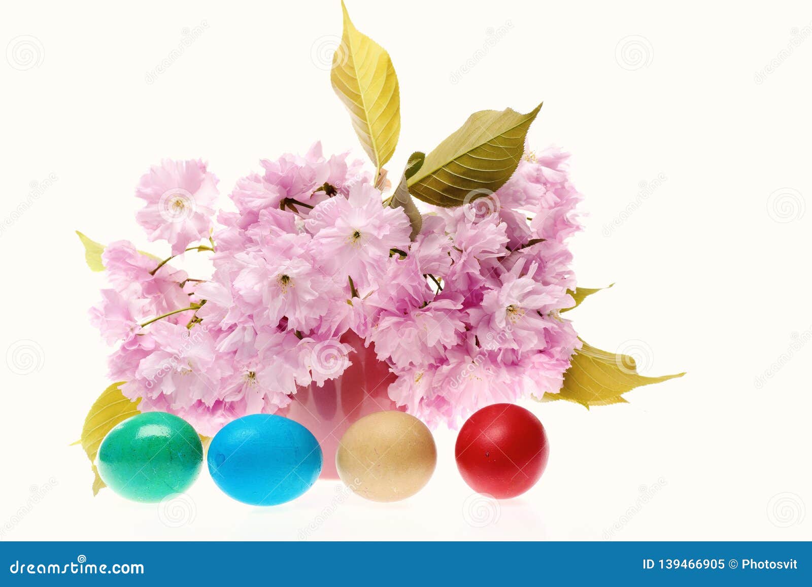 Easter Spring Composition. Japanese Cherry Flowers with Coloured Eggs ...