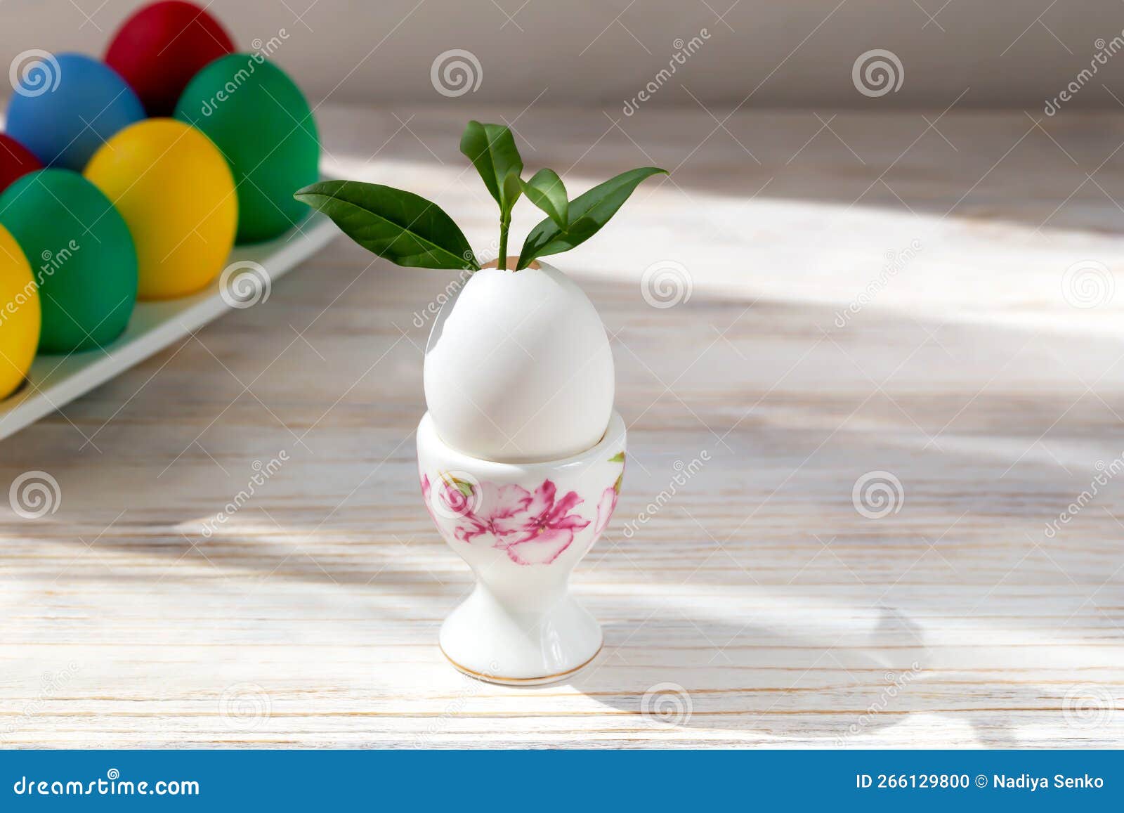 Egg with Sprout in a Stand and Colorful Easter Eggs Stock Photo - Image ...