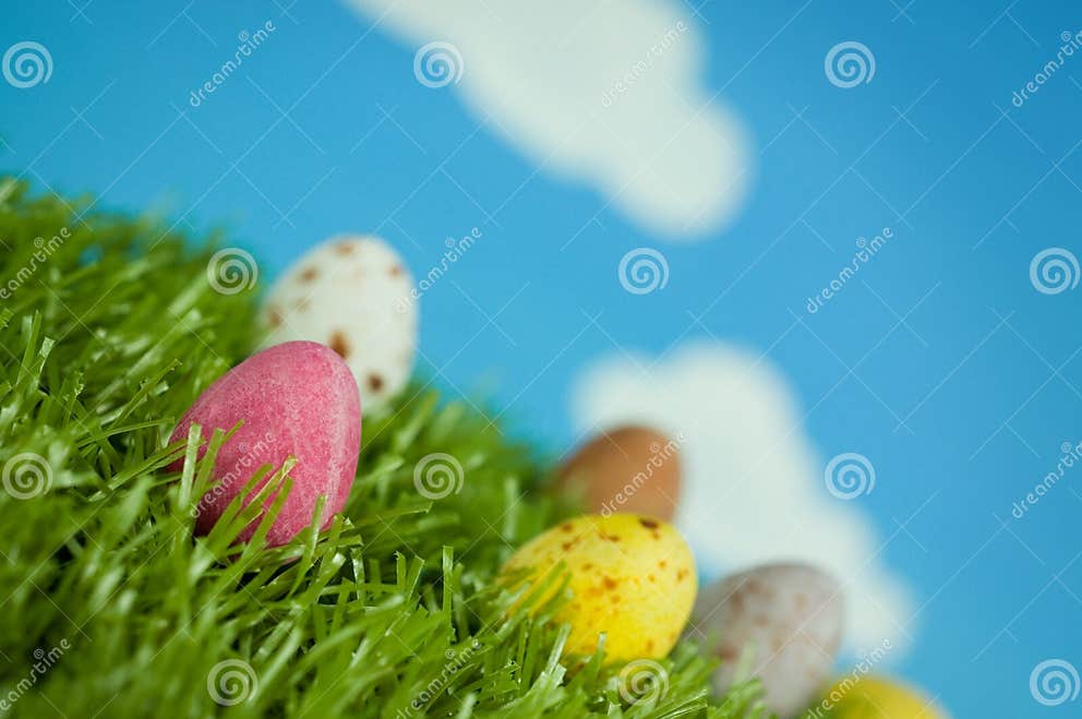 Easter Surprise stock image. Image of eater, candy, field - 8440259