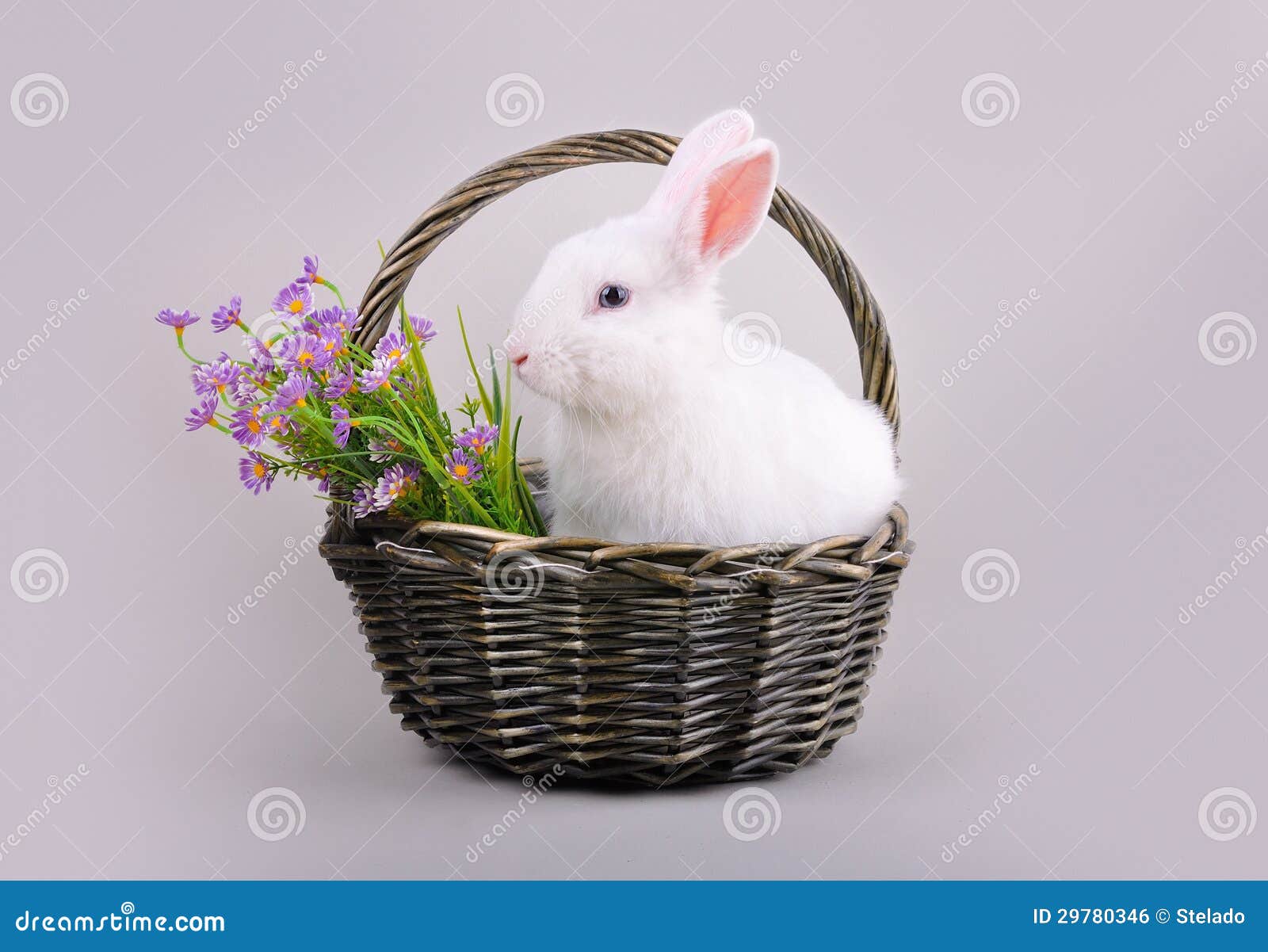 Fluffy White Bunny in a Basket with Flowers Stock Photo - Image of ...