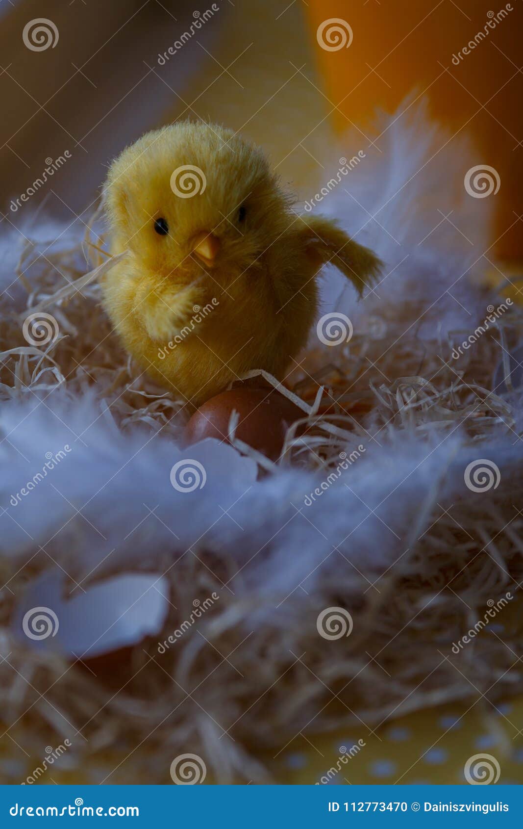 Easter Theme, Easter Decorations Stock Photo - Image of chicken ...