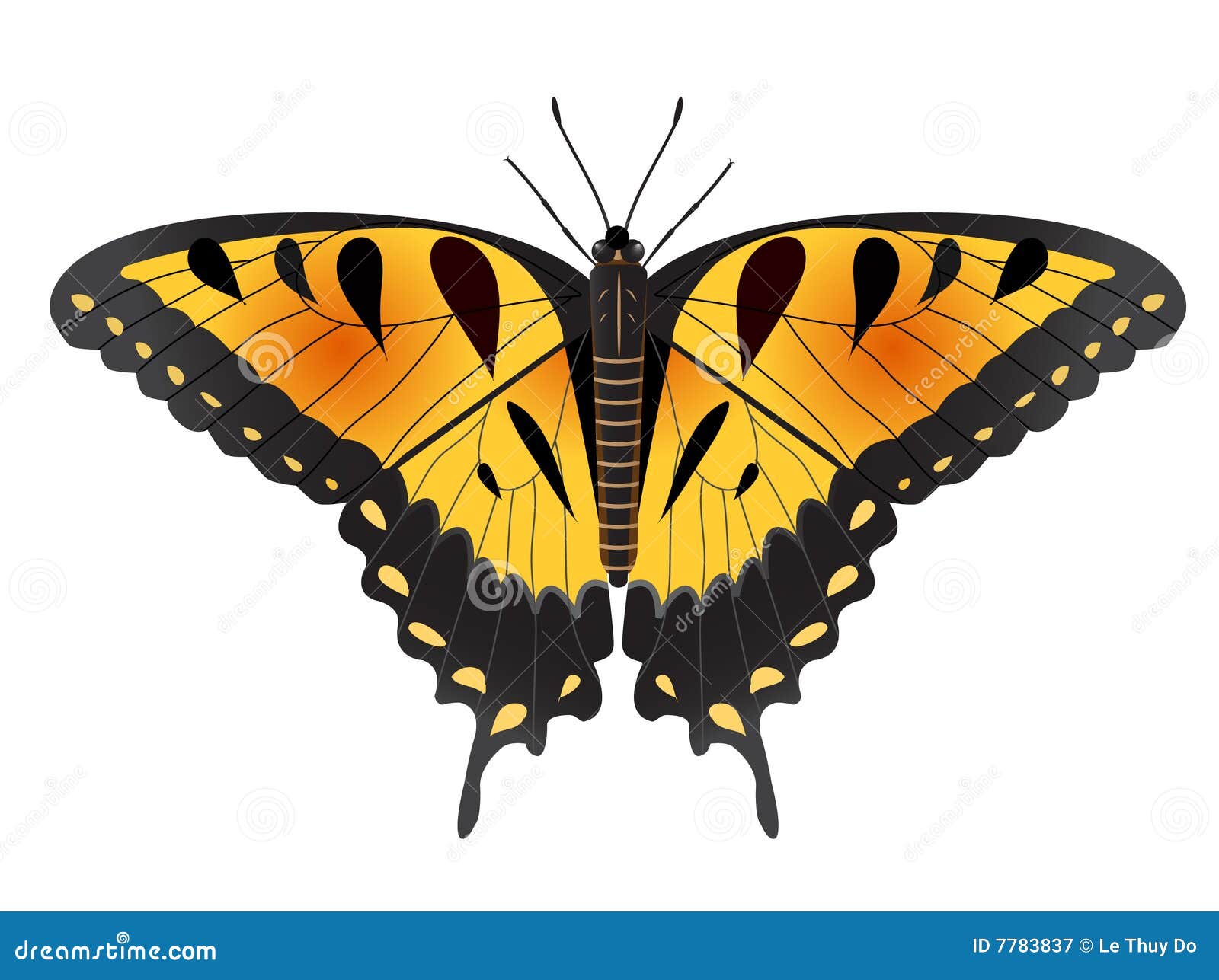 Eastern Tiger Swallowtail Papilio Glaucus Sitting On A Plant Cartoon ...