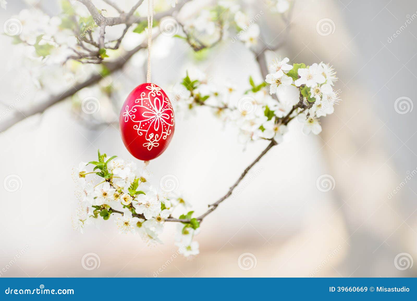 Easter Traditional Egg Hanging on Bough with Spring Cherry Blossom ...