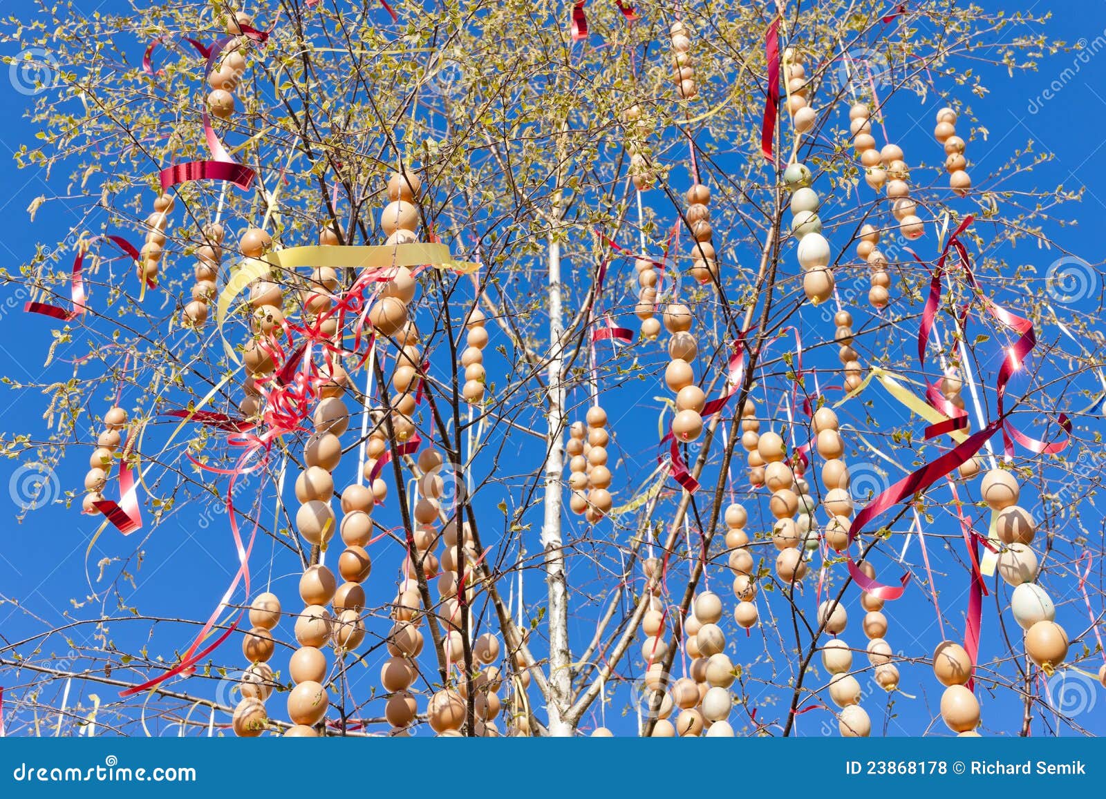 Easter tree stock photo. Image of hanging, outside, close - 23868178