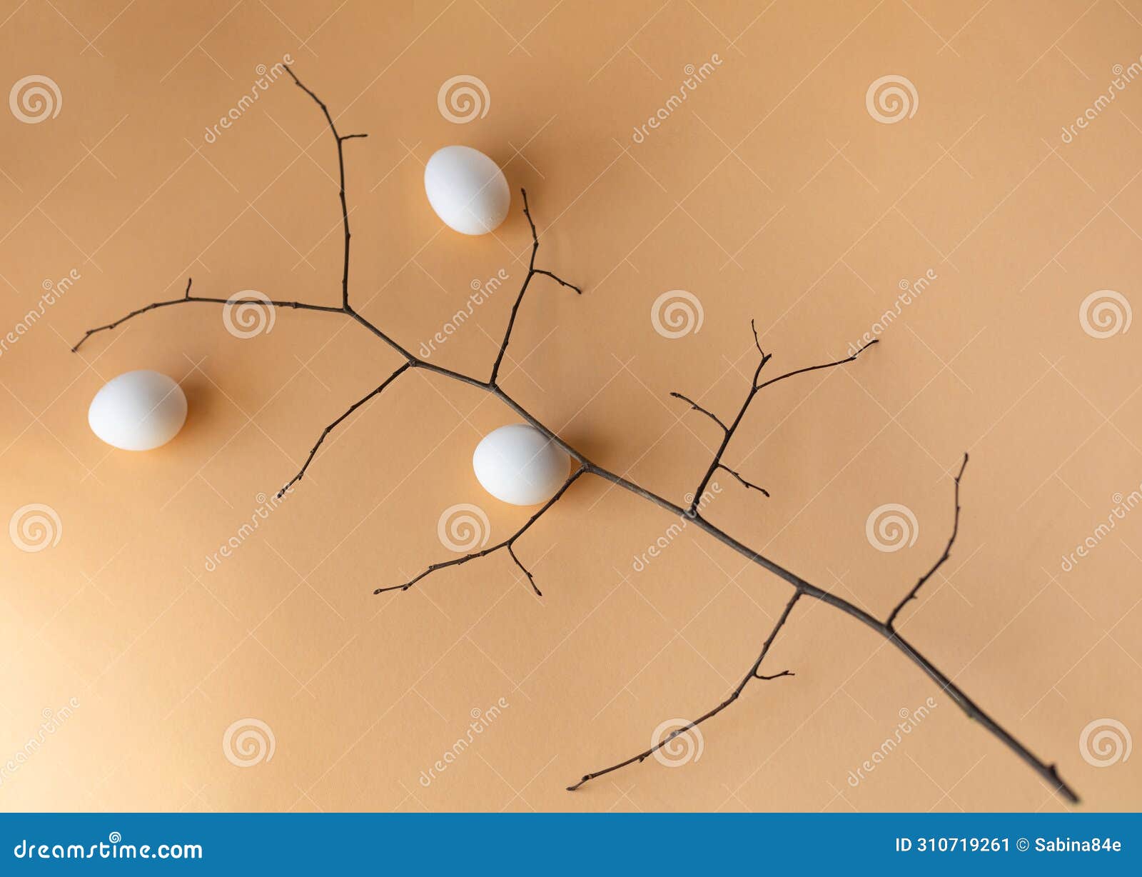 Easter, Tree Branch and Chicken White Eggs, Peach Fuzz Color Stock ...