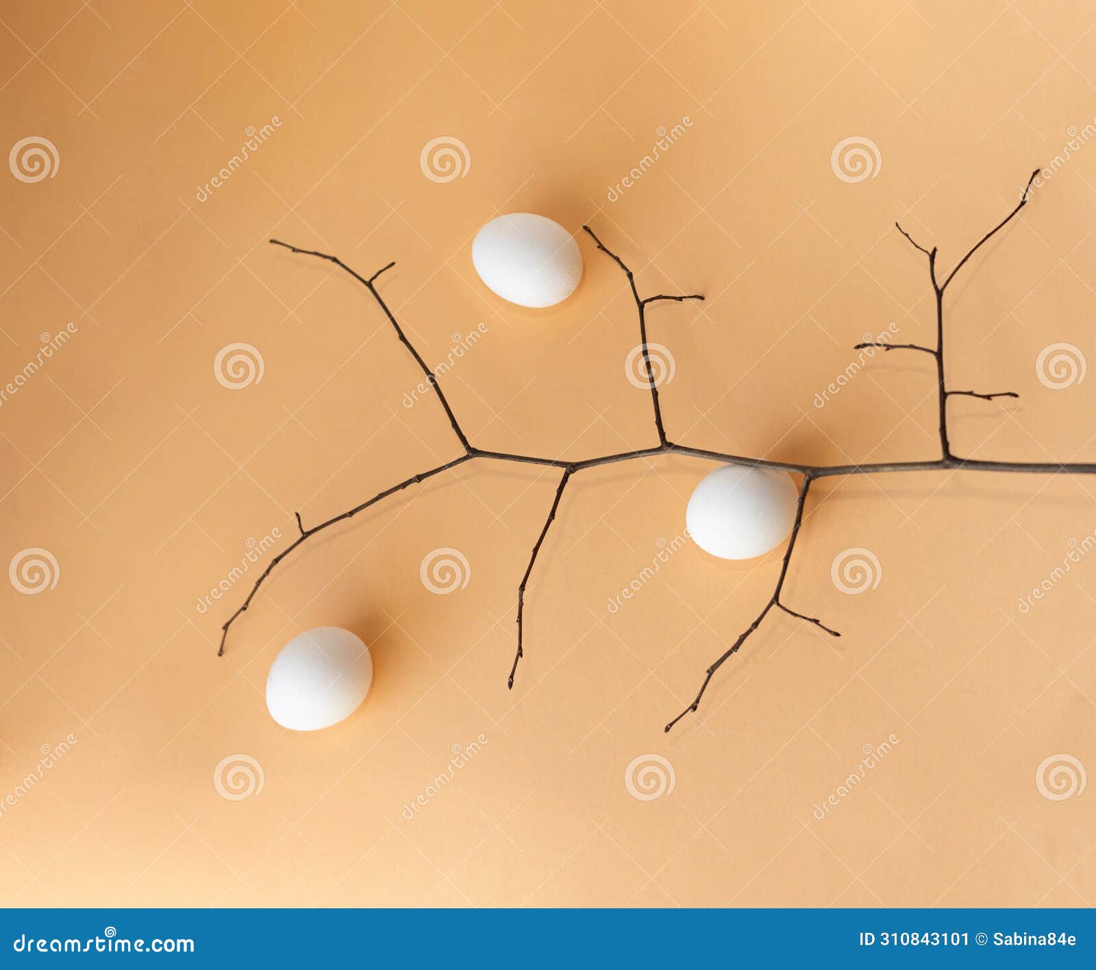 Easter, Tree Branch and Chicken White Eggs on Peach Fuzz Color Stock ...