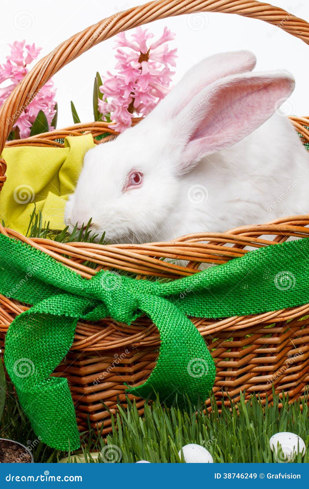 Easter white rabbit stock image. Image of sitting, decoration - 38746249