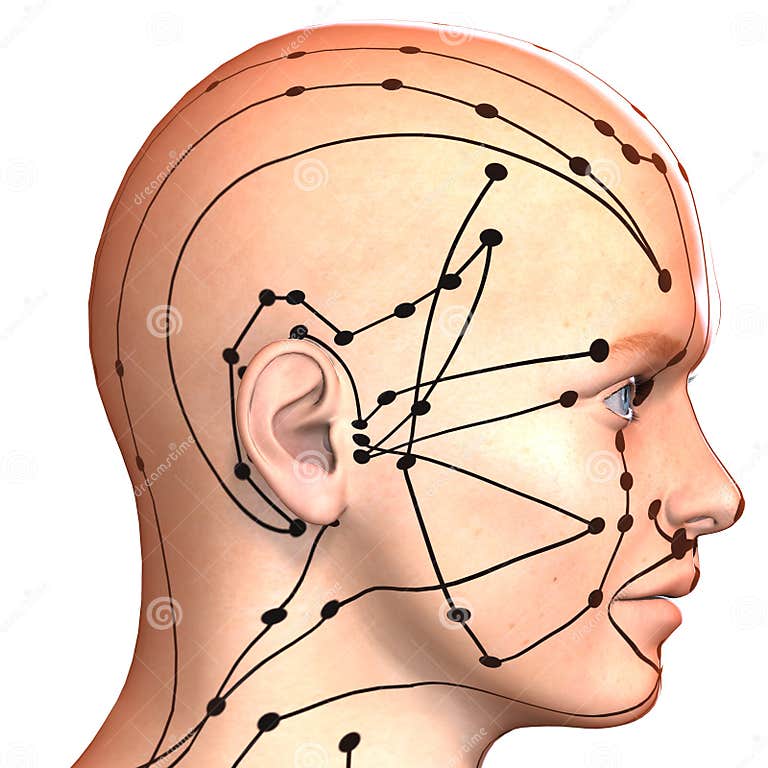 Eastern Or Asian Acupuncture And Acupressure Points On A Male Body