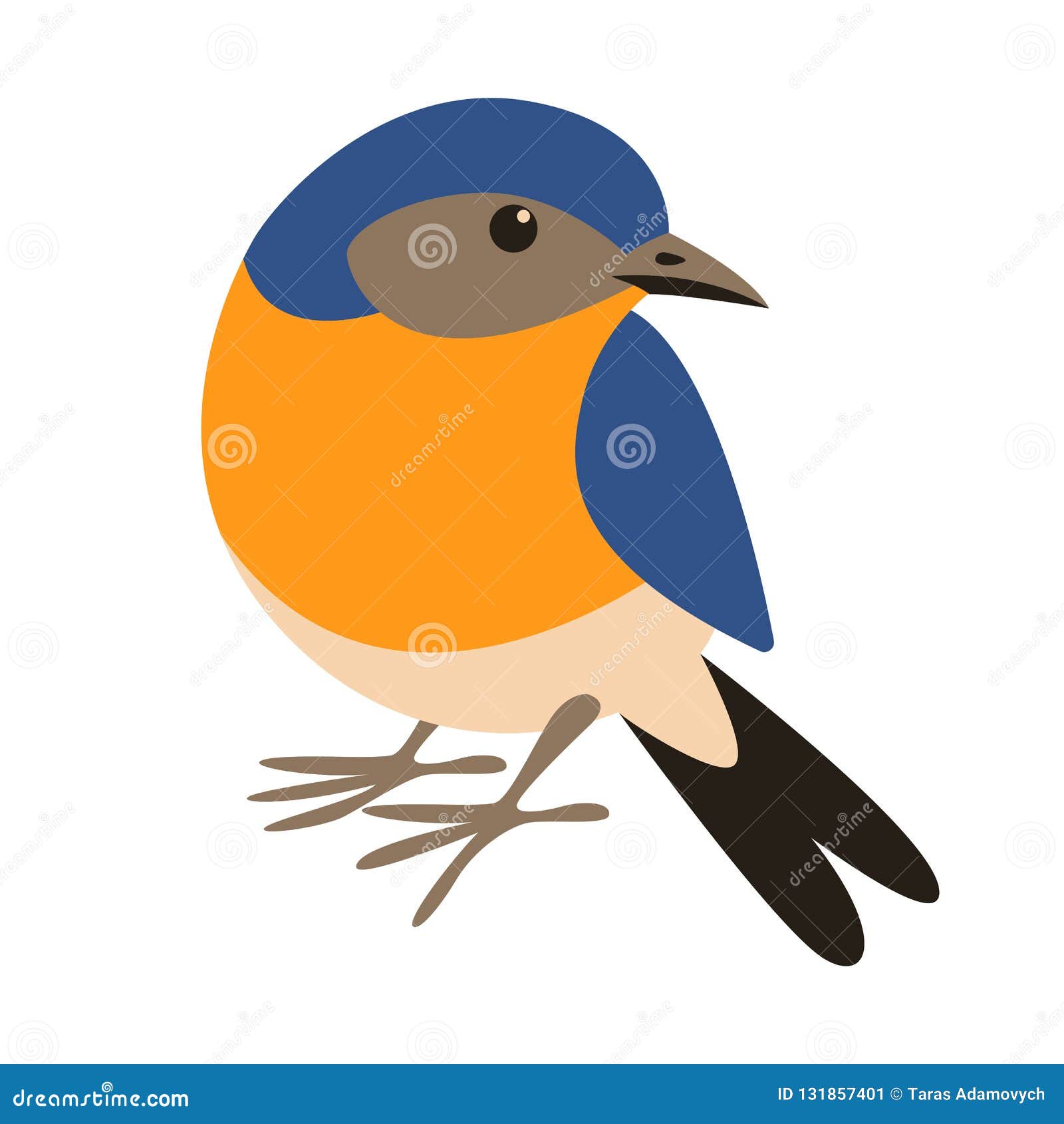 Eastern Bluebird,flat Style, Front Stock Vector - Illustration of ...