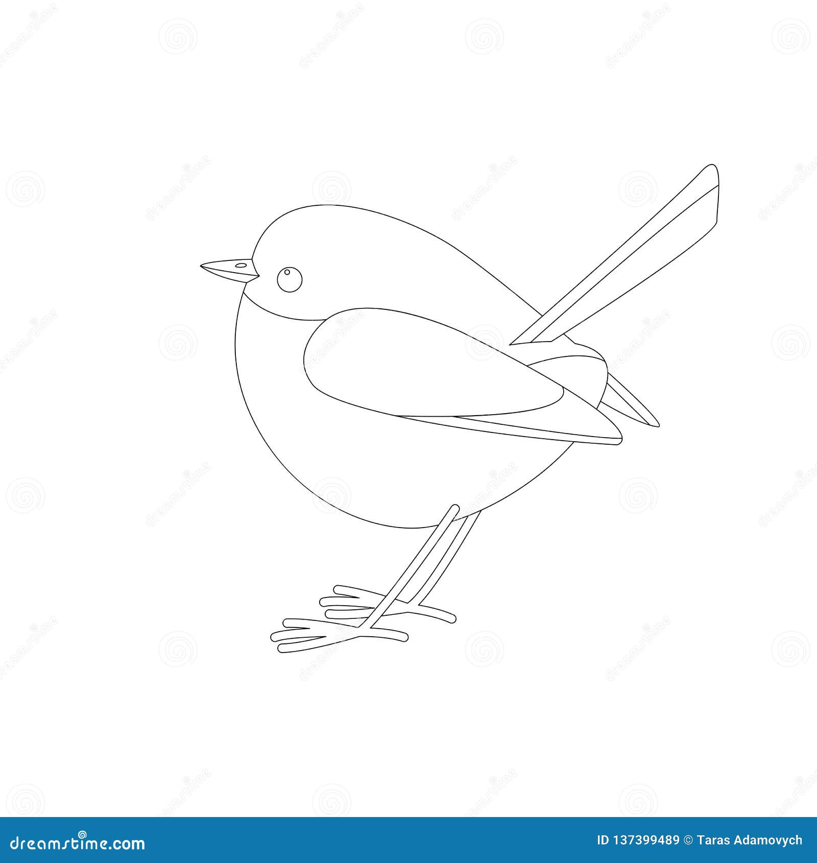 Eastern Bluebird ,vector Illustration ,lining Draw ,profile Stock ...