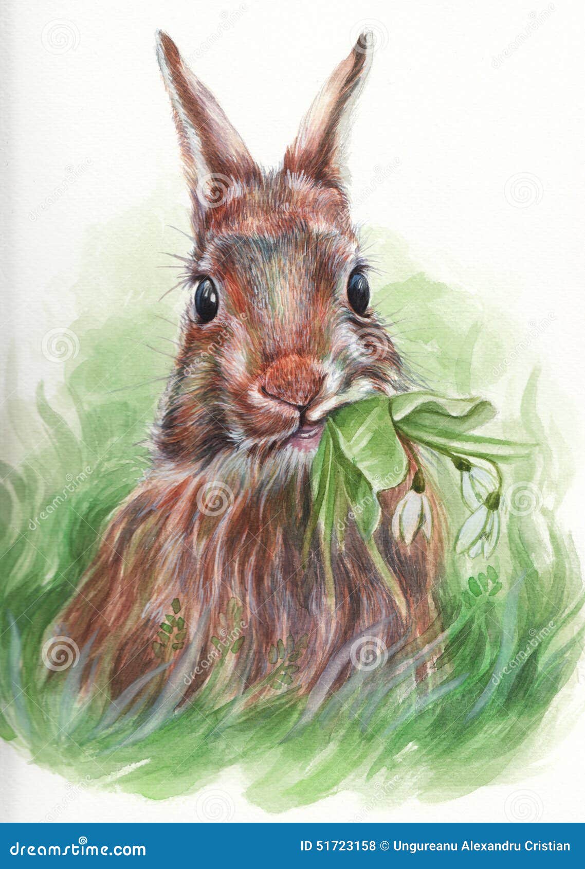Bunny Eating Grass Stock Illustrations – 108 Bunny Eating Grass Stock ...