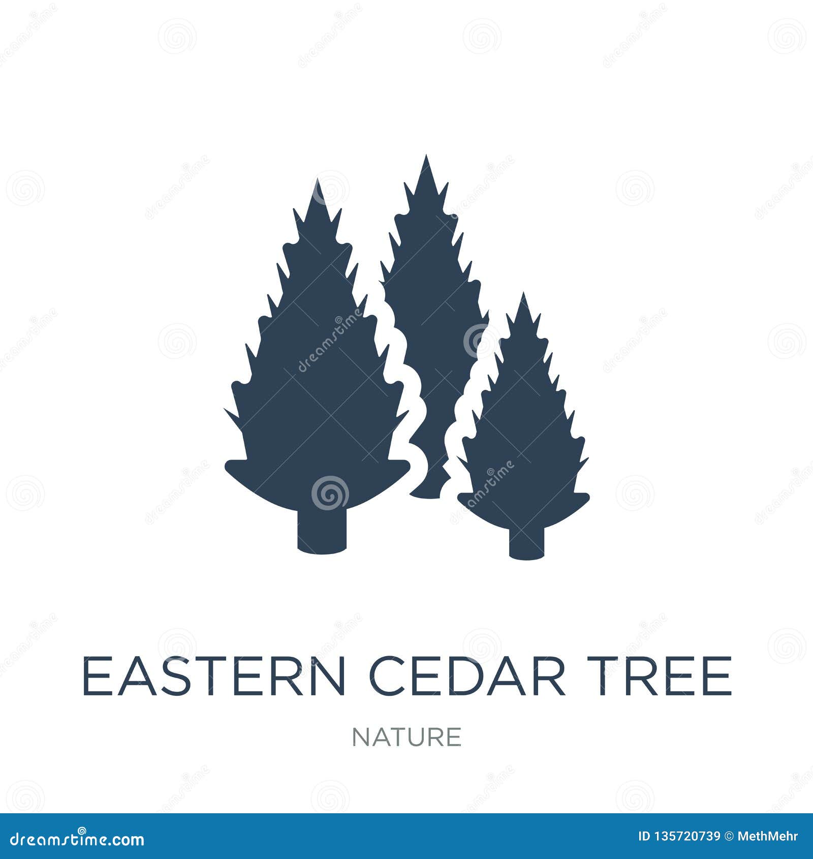 Eastern Cedar Tree Icon In Trendy Design Style. Eastern Cedar Tree Icon ...