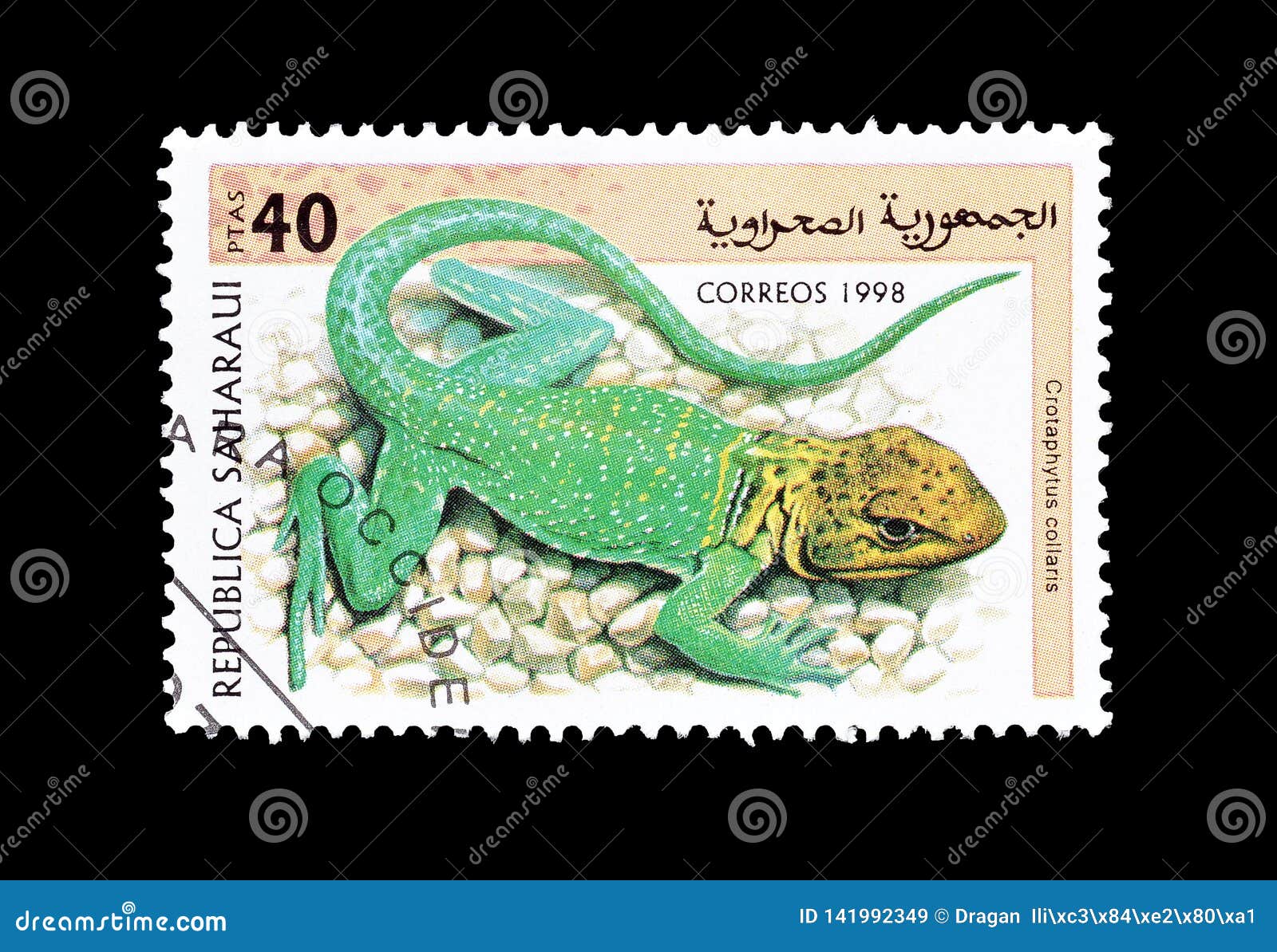 Eastern Collared Lizardon Postage Stamp Editorial Stock Image - Image ...
