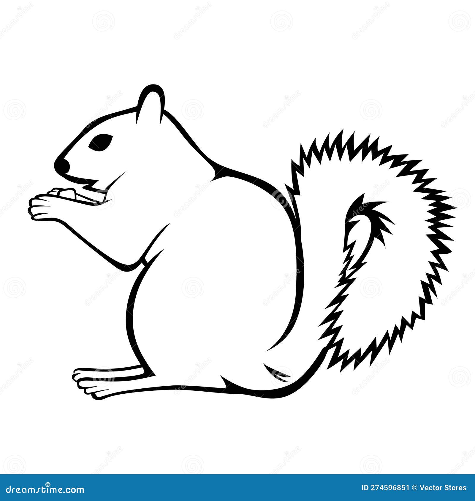 Eastern Gray Squirrel, Sciurus Carolinensis Simple Style Black And ...