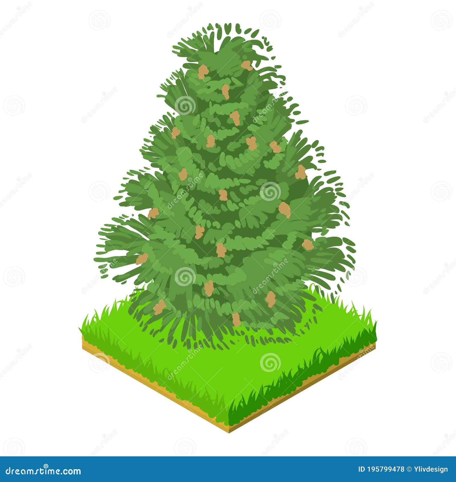 Canadian Hemlock Tsuga Canadensis , Medicinal Plant Cartoon Vector ...