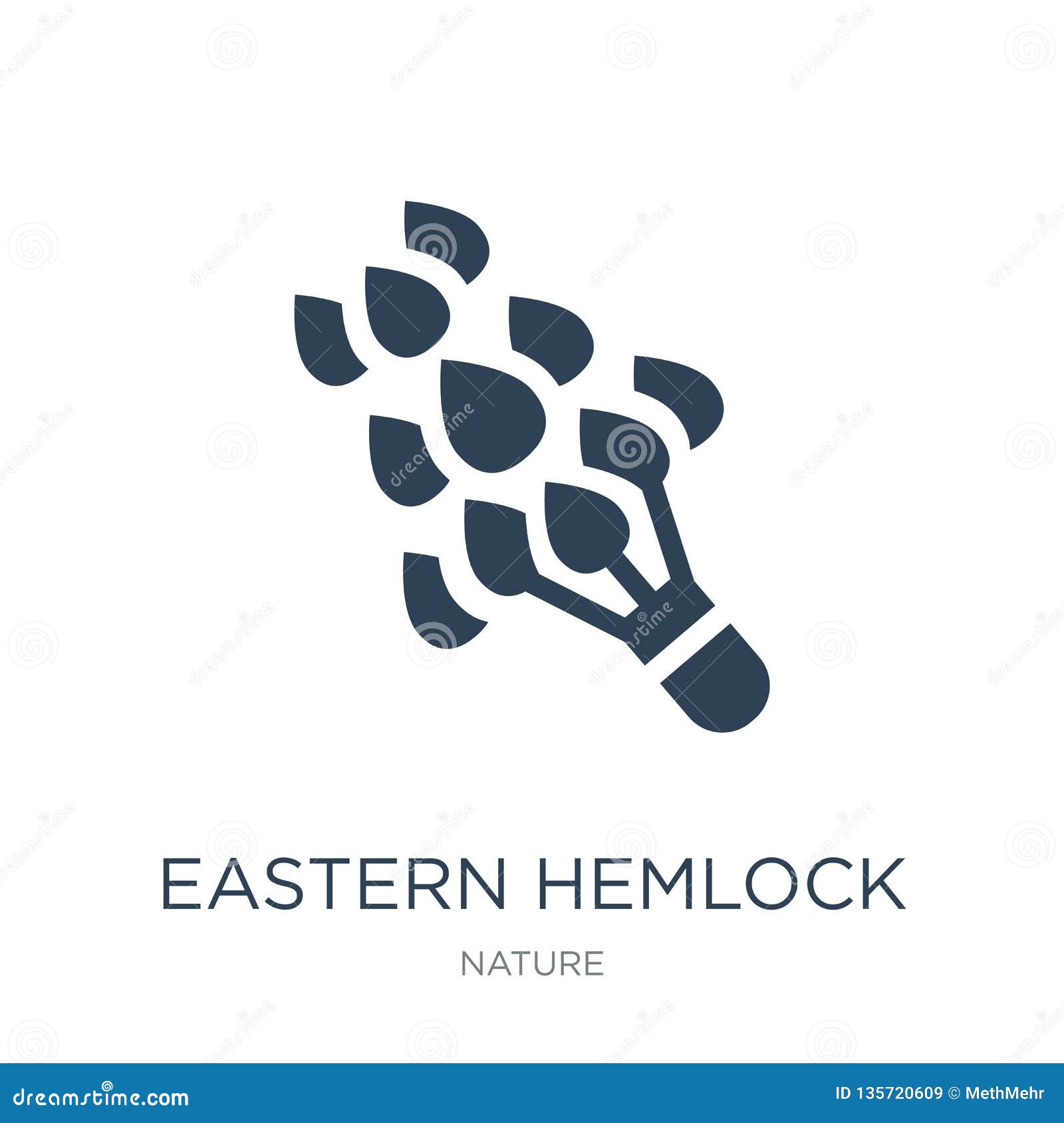 Eastern Hemlock Tree Vector Icon On White Background. Flat Vector ...