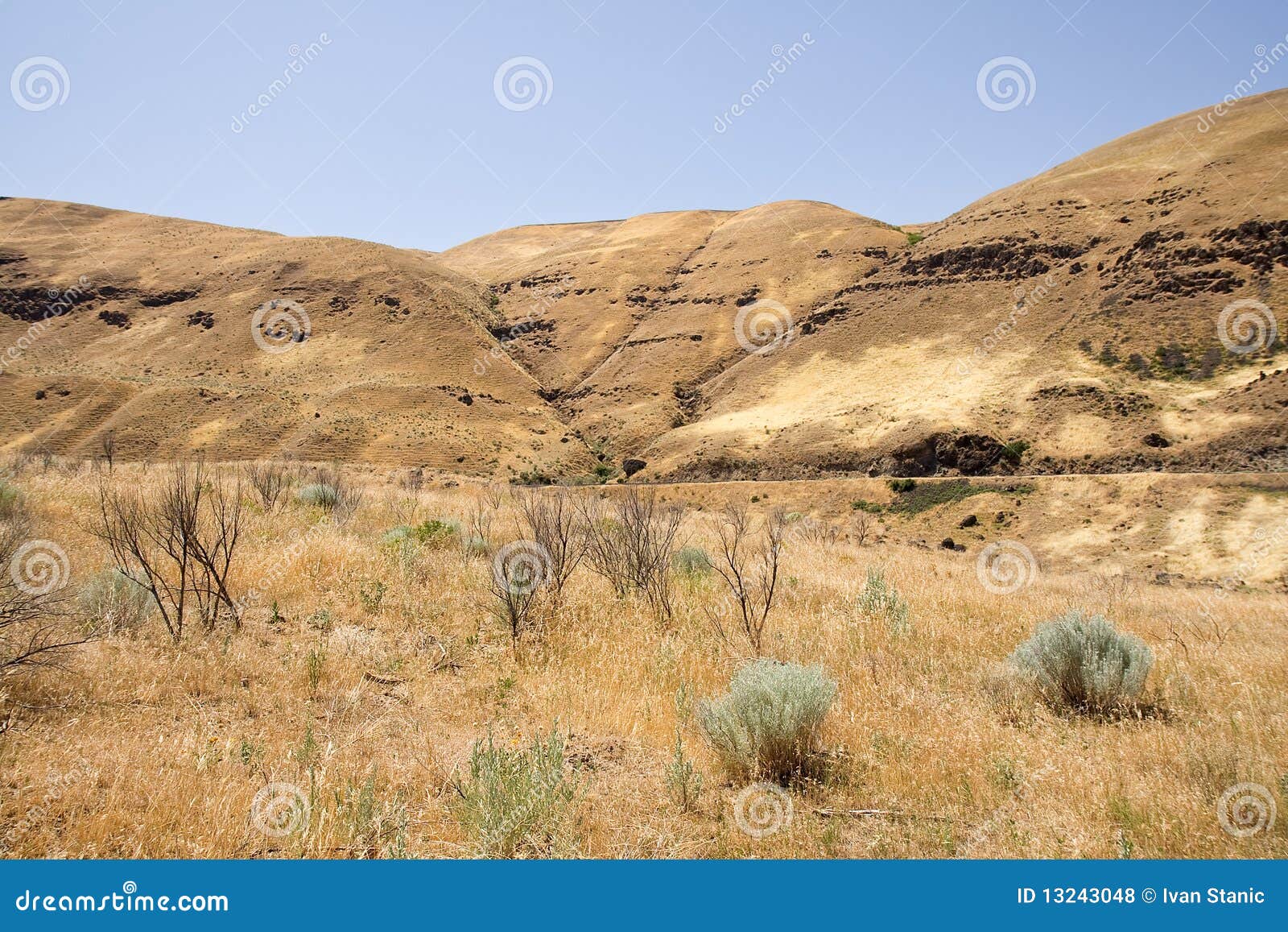 Eastern Oregon Desert stock photo. Image of dirt, park - 13243048