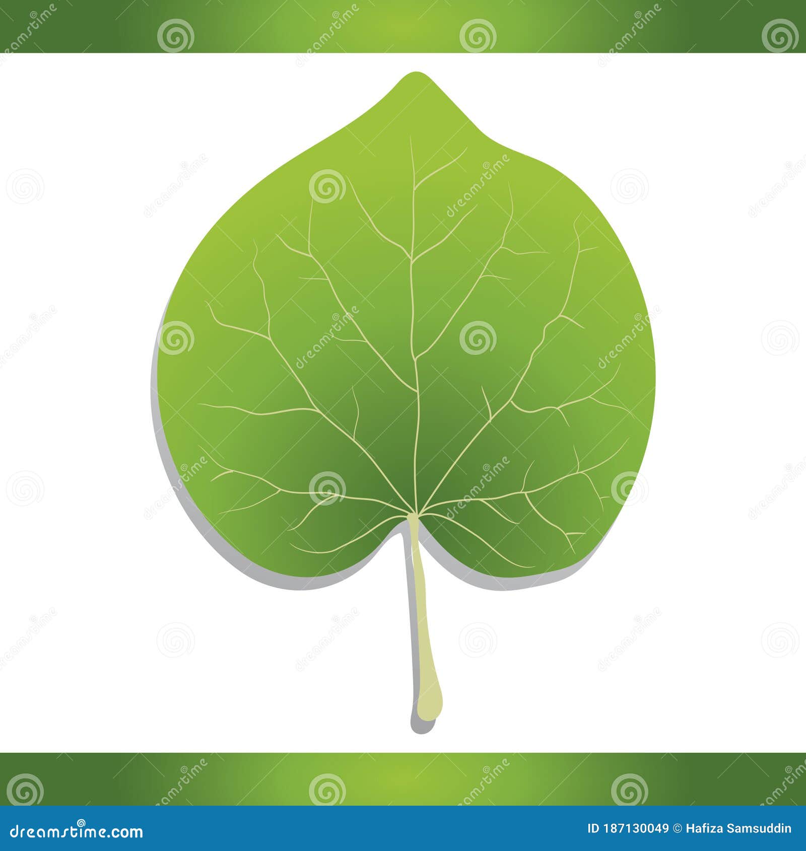 Eastern Redbud Leaf. Vector Illustration Decorative Design Stock Vector ...