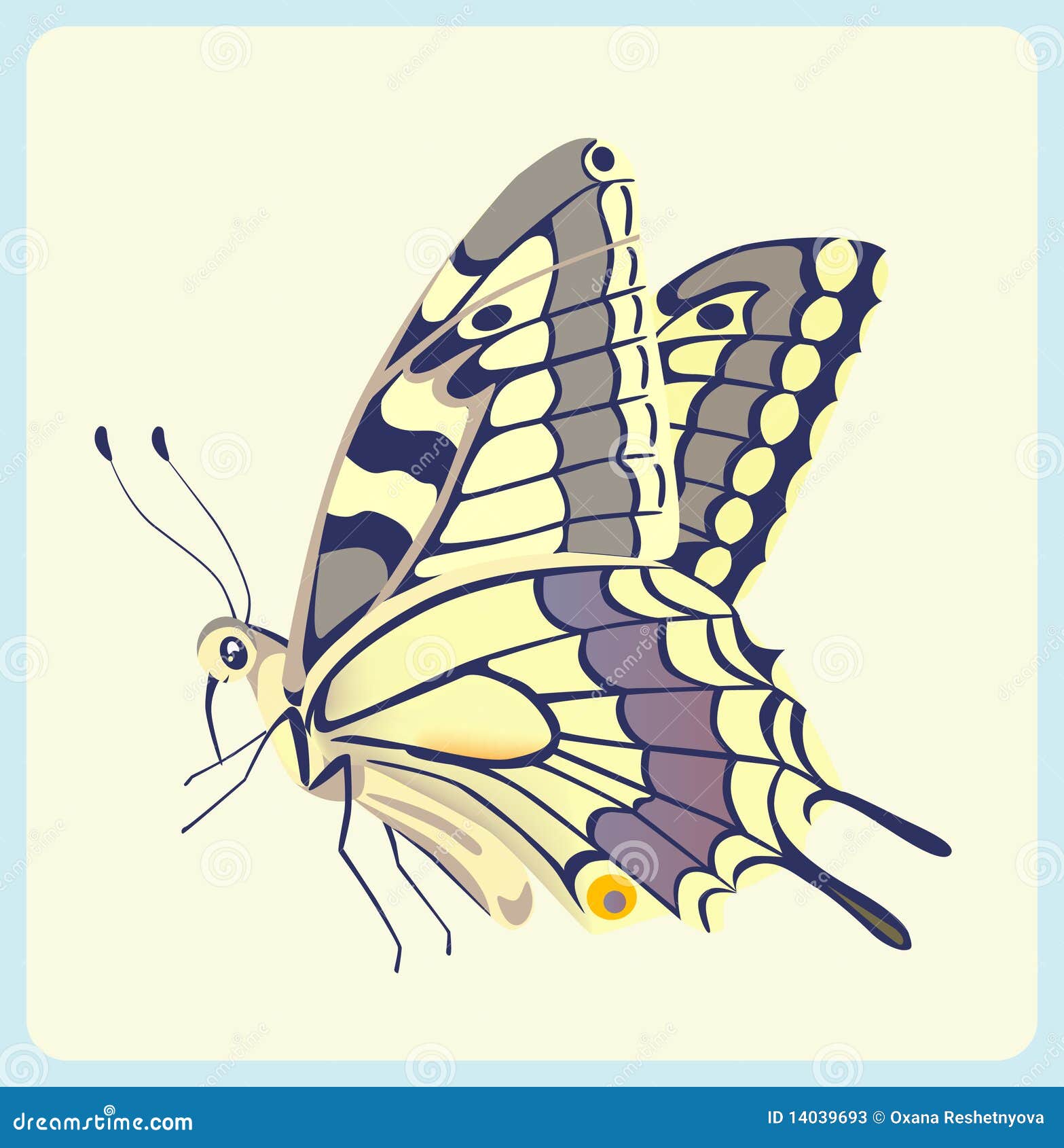 Eastern Tiger Swallowtail Butterfly Stock Vector - Illustration of ...
