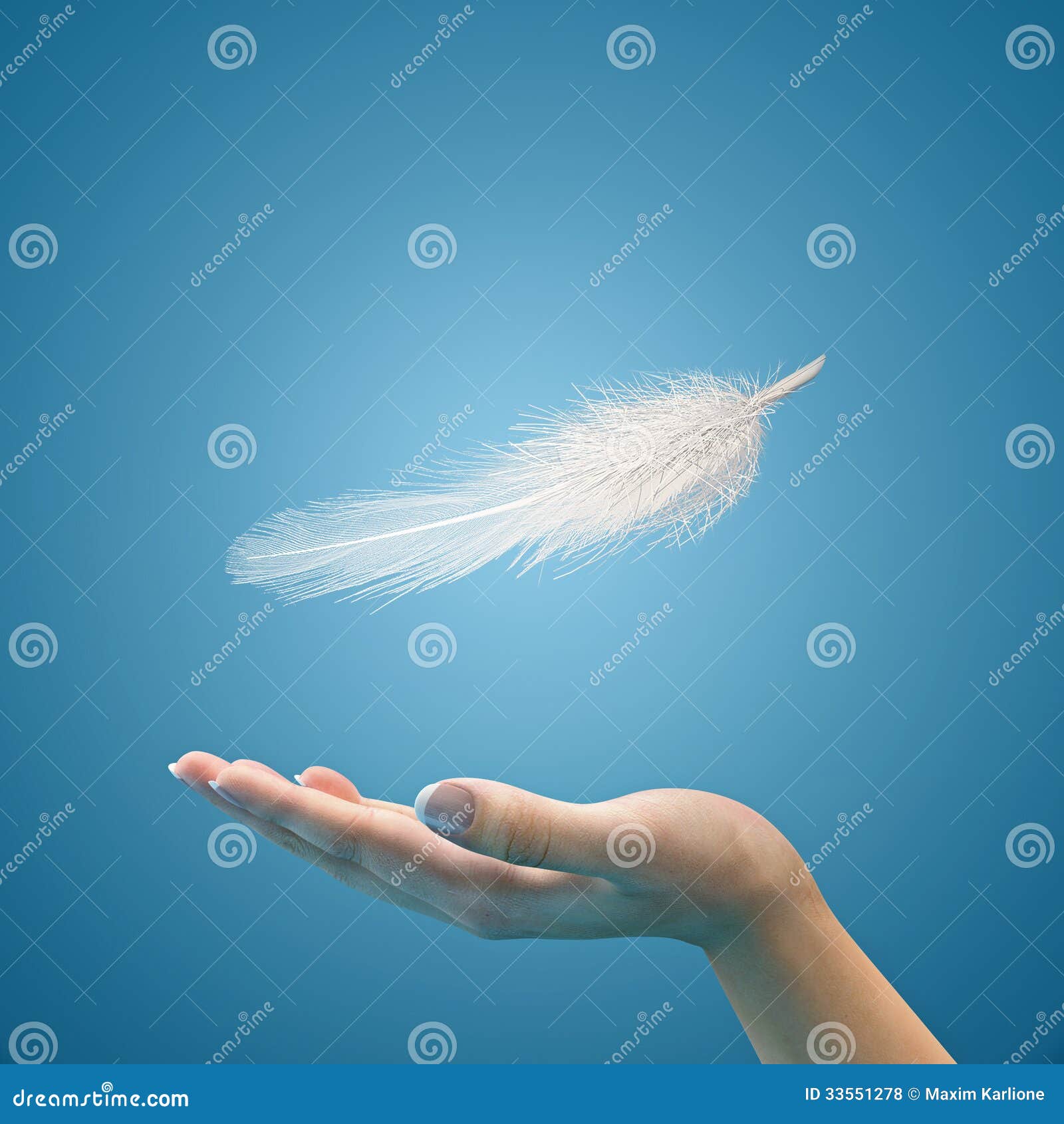 Easy Feather in the Air on the Palm Stock Photo - Image of flight ...