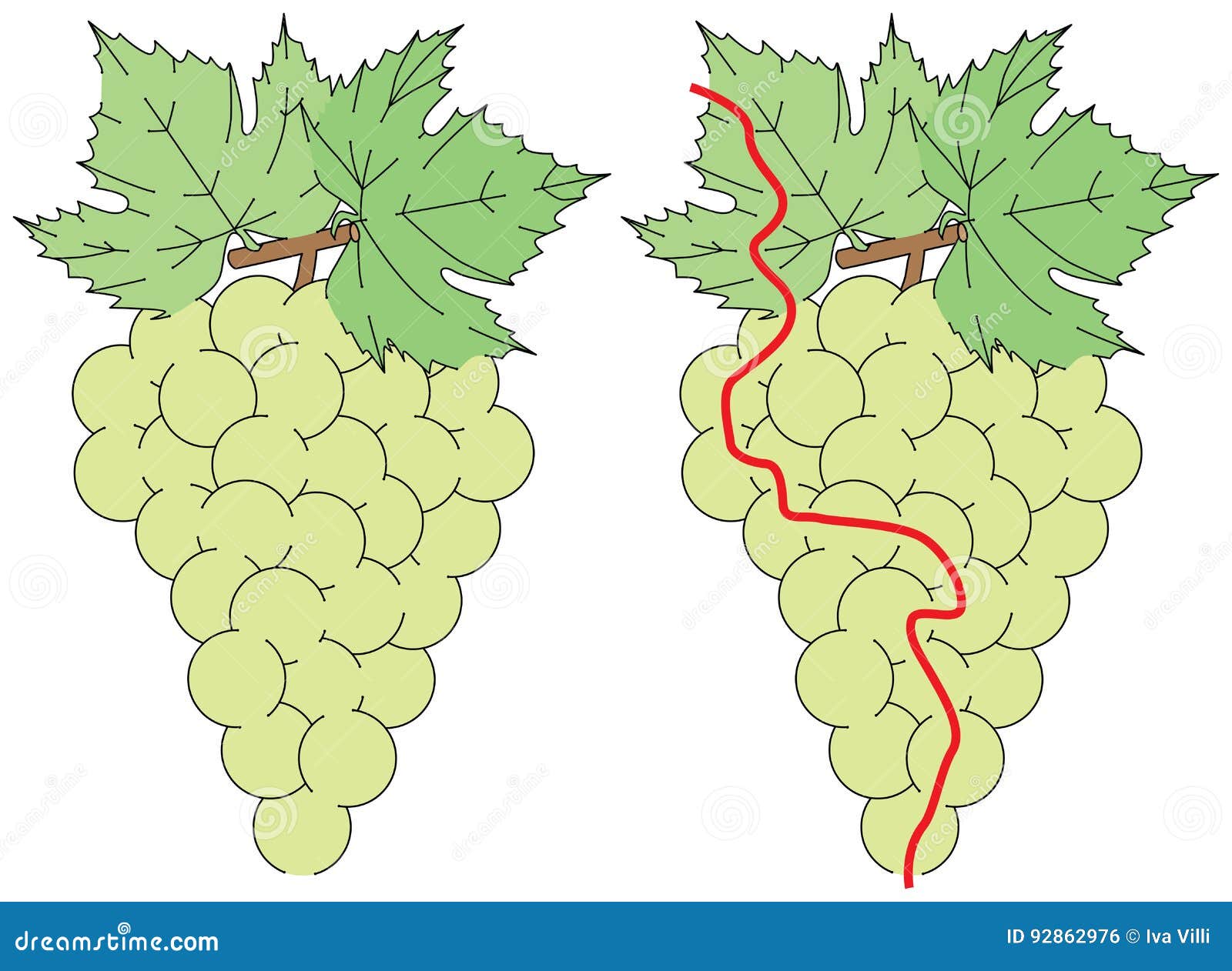 Easy grapes maze stock vector. Illustration of cartoon - 92862976