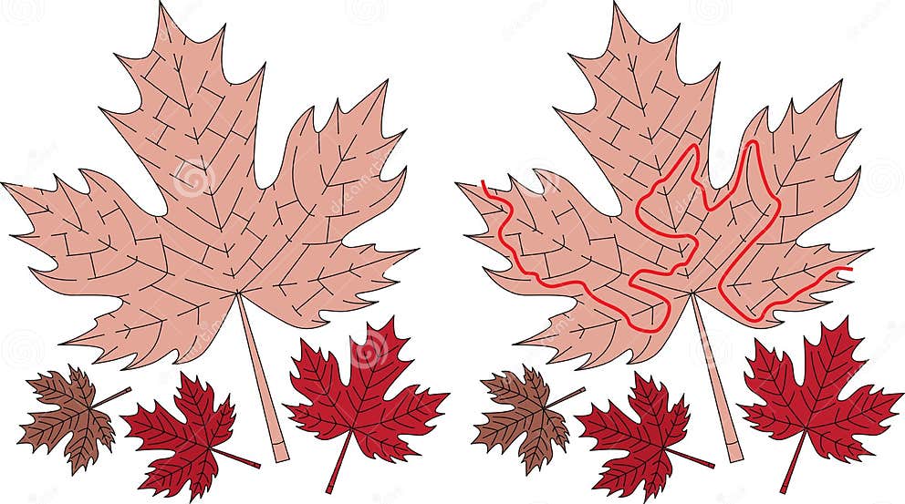 Easy maple leaf maze stock vector. Illustration of leaf - 110863138
