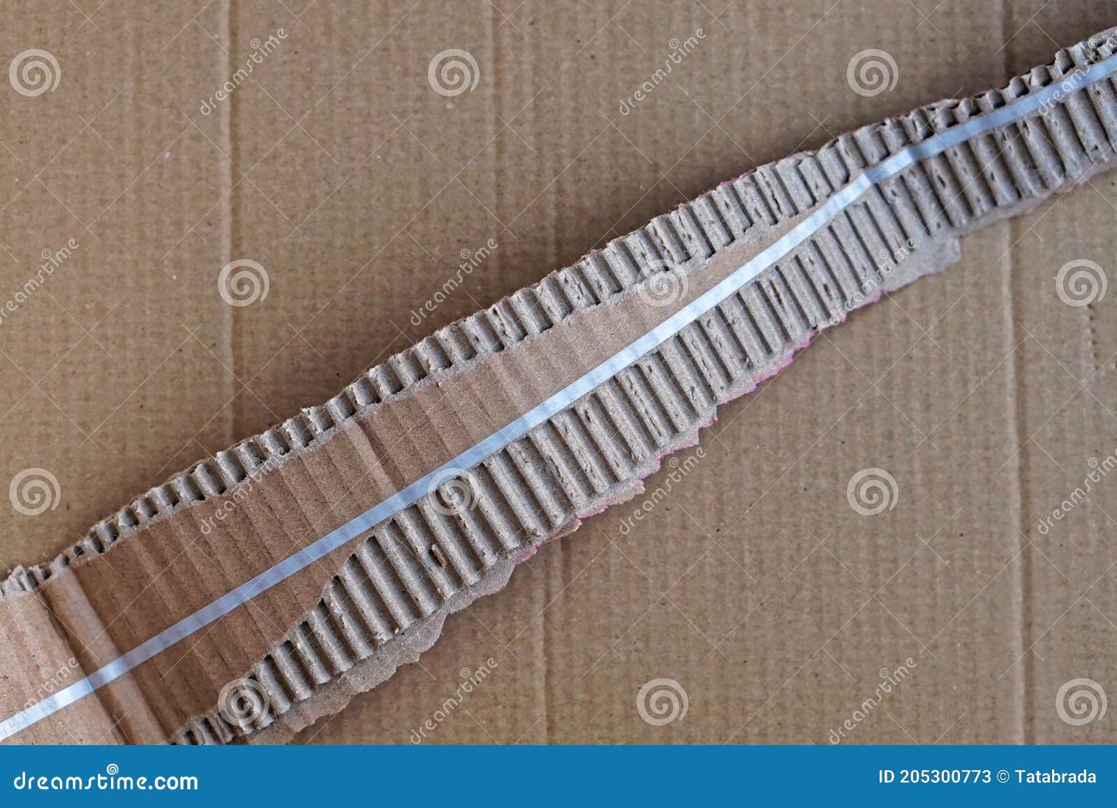 Easy open strip box stock image. Image of shipping, transport - 205300773