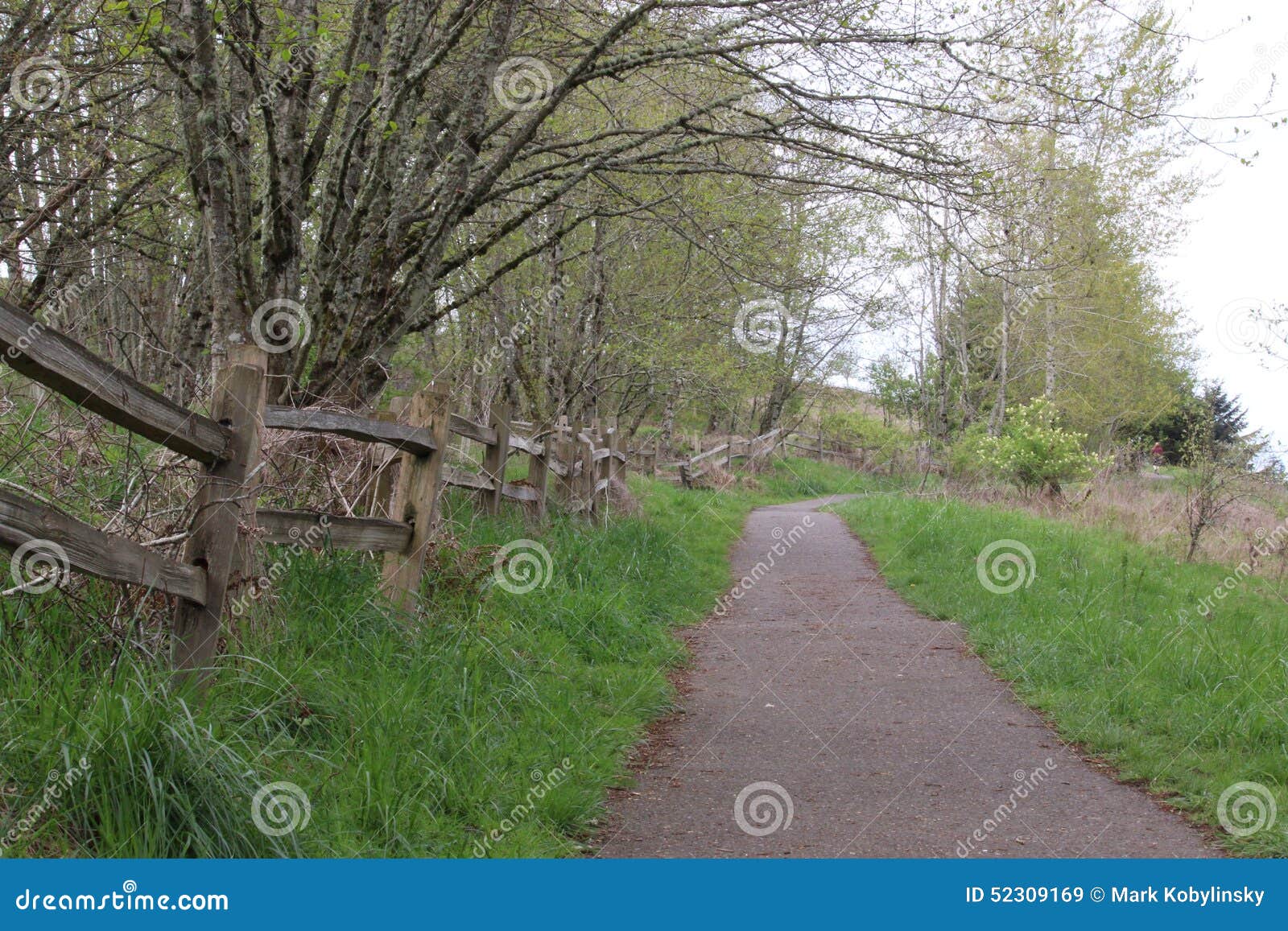 Easy trail stock image. Image of paved, trail, path, wooden - 52309169