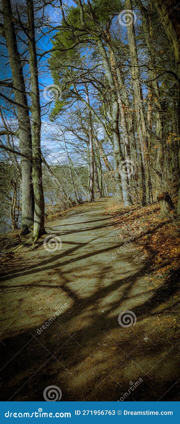 Easy walk on the park stock image. Image of branch, trail - 271956763