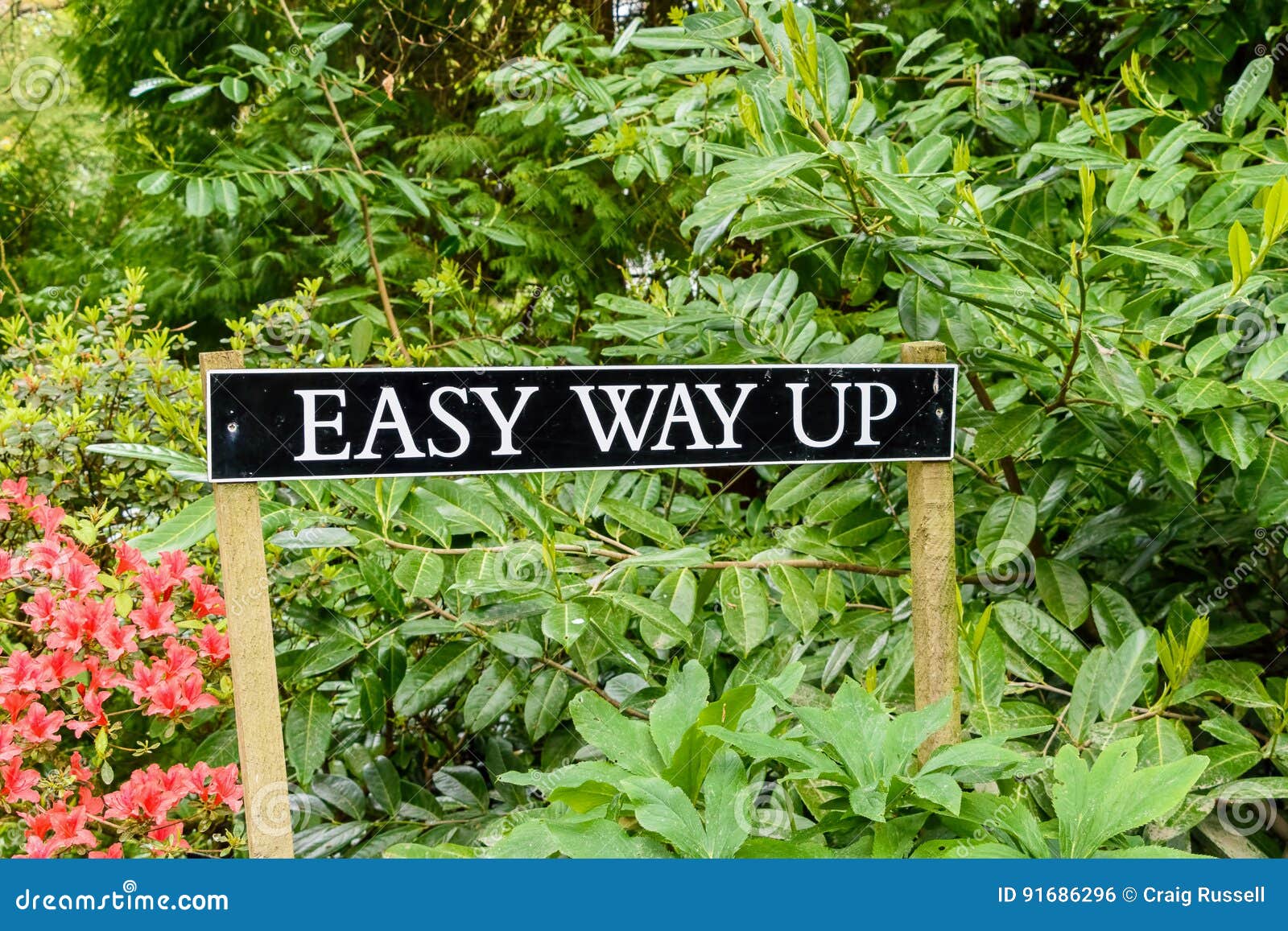 Easy Way Up Sign stock photo. Image of industrial, sign - 91686296