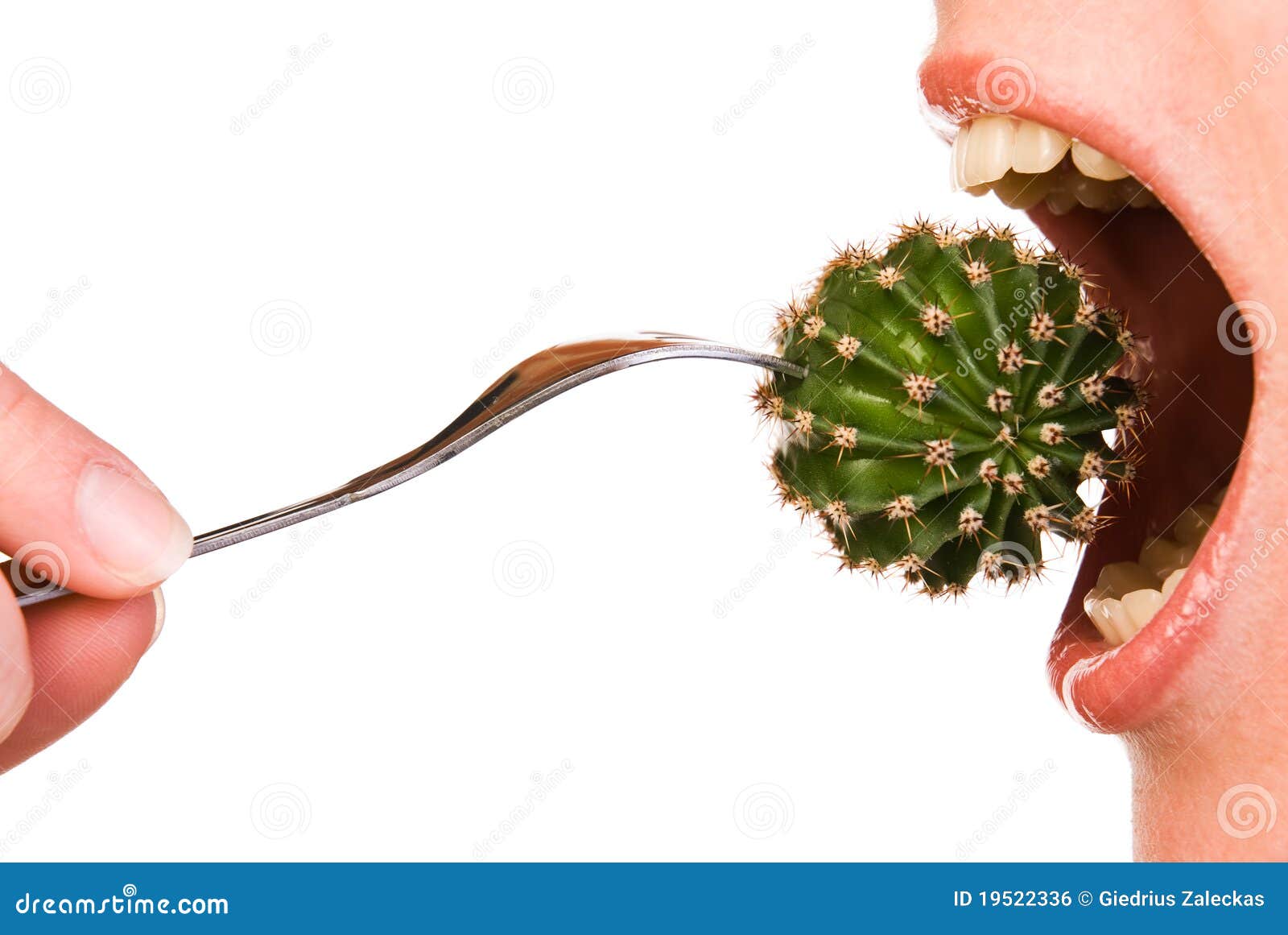 Eat a cactus stock photo. Image of metal, stem, spine - 19522336