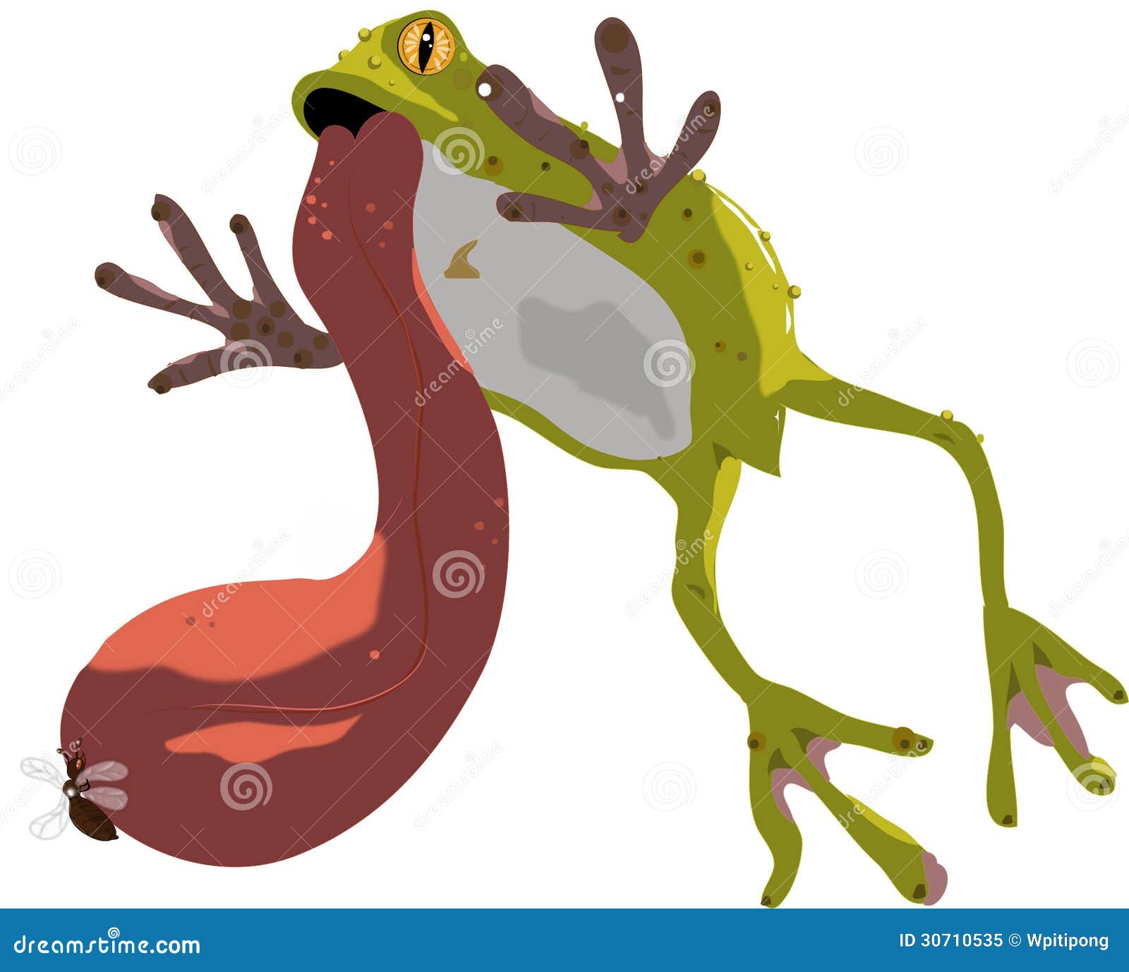 Eat of Frog stock vector. Illustration of world, forests - 30710535