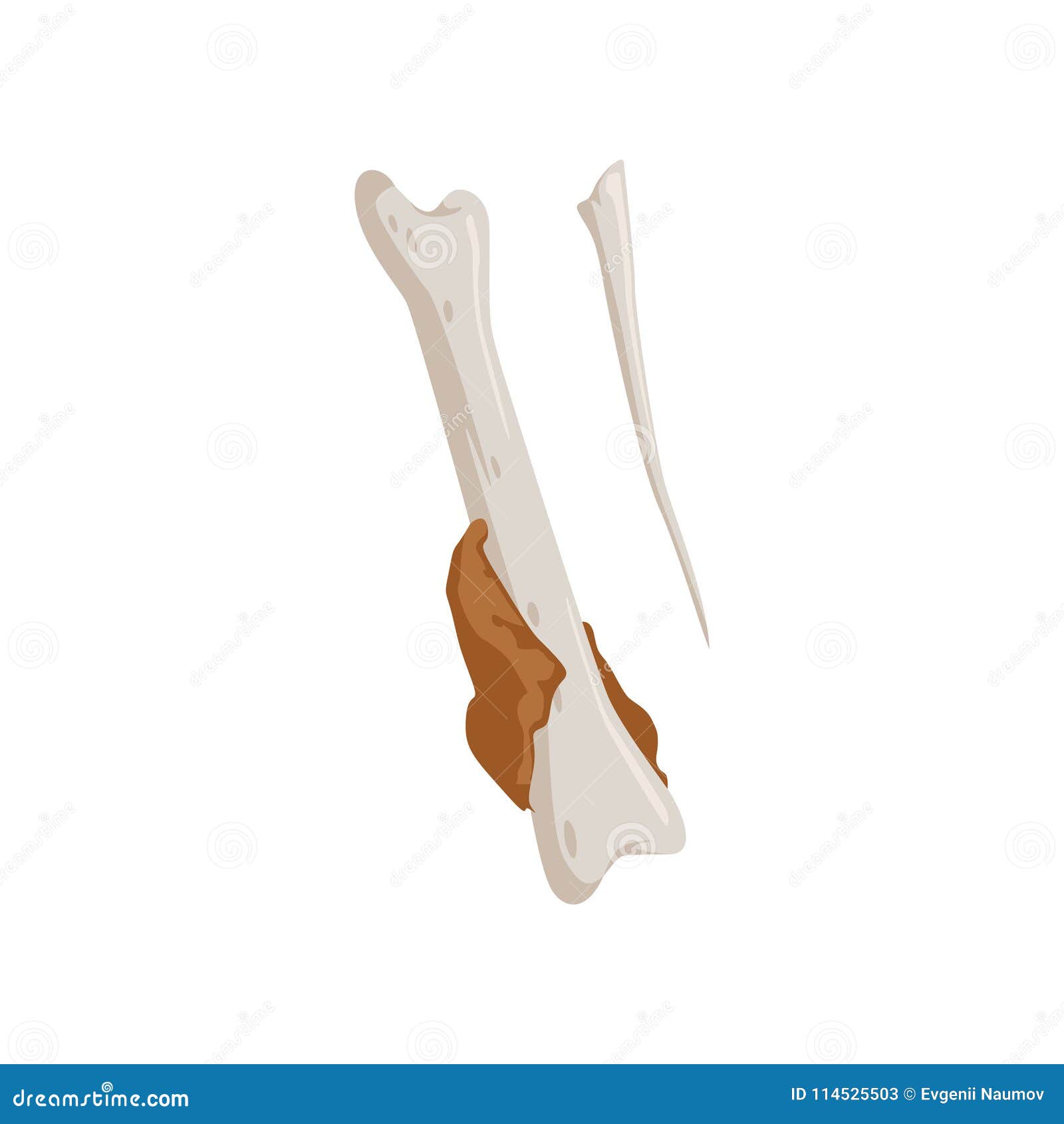 Eaten Chicken Drumstick Bone, Recycling Garbage Concept, Utilize Waste ...