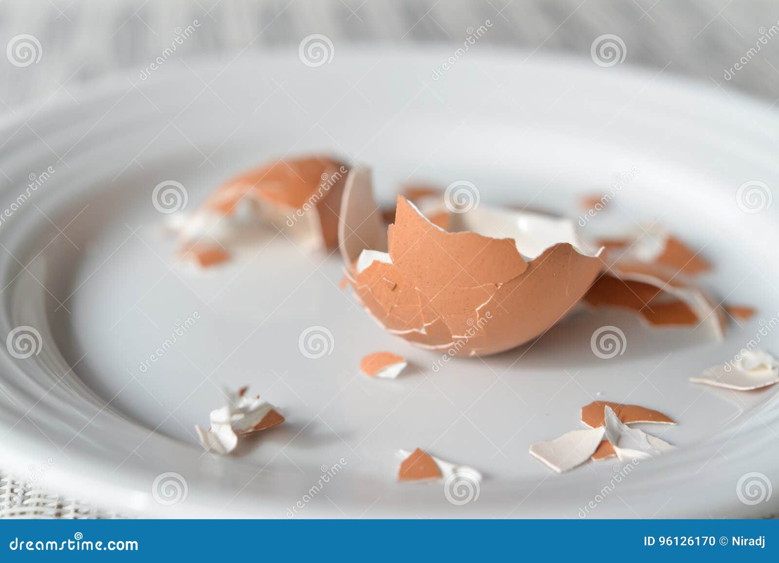 Eaten egg on a white plate stock photo. Image of close - 96126170