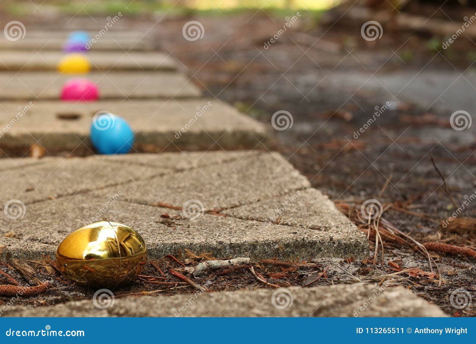 Eater eggs on path stock image. Image of hunt, eggs - 113265511