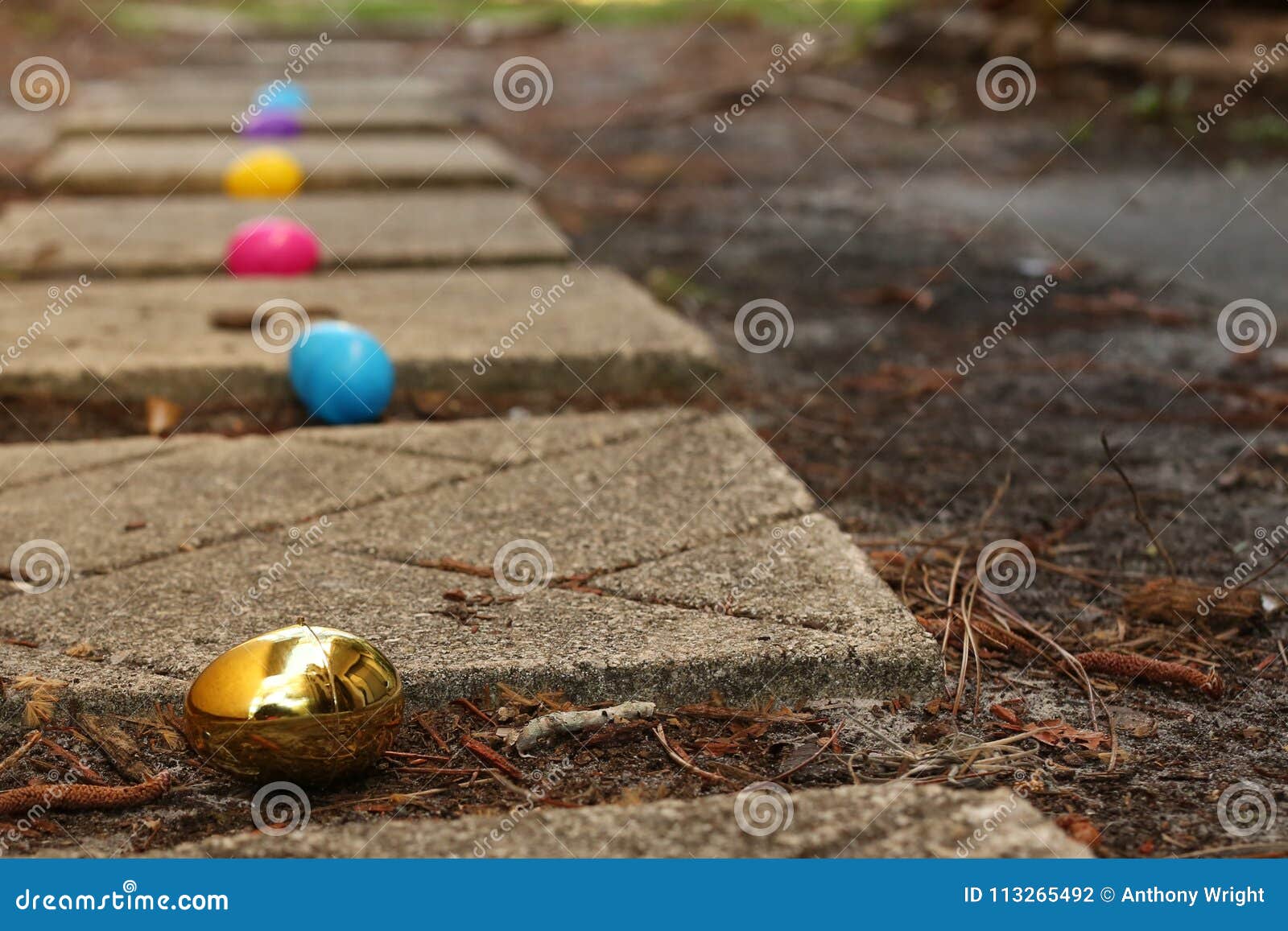 Eater eggs on path stock photo. Image of goals, walk - 113265492