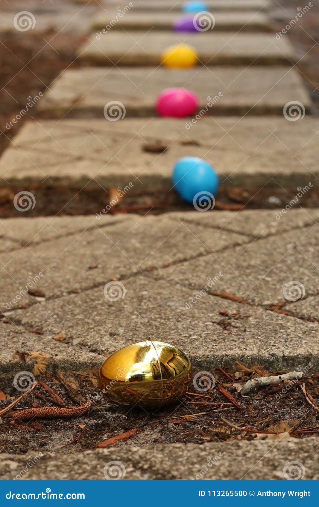 Eater eggs on path stock photo. Image of goals, walk - 113265500