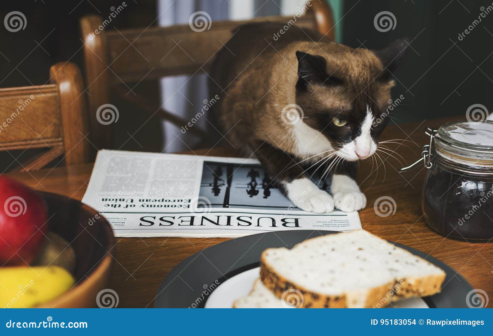Eatery Breakfast Morning Meal Cat Stock Photo - Image of dinning, fruit ...