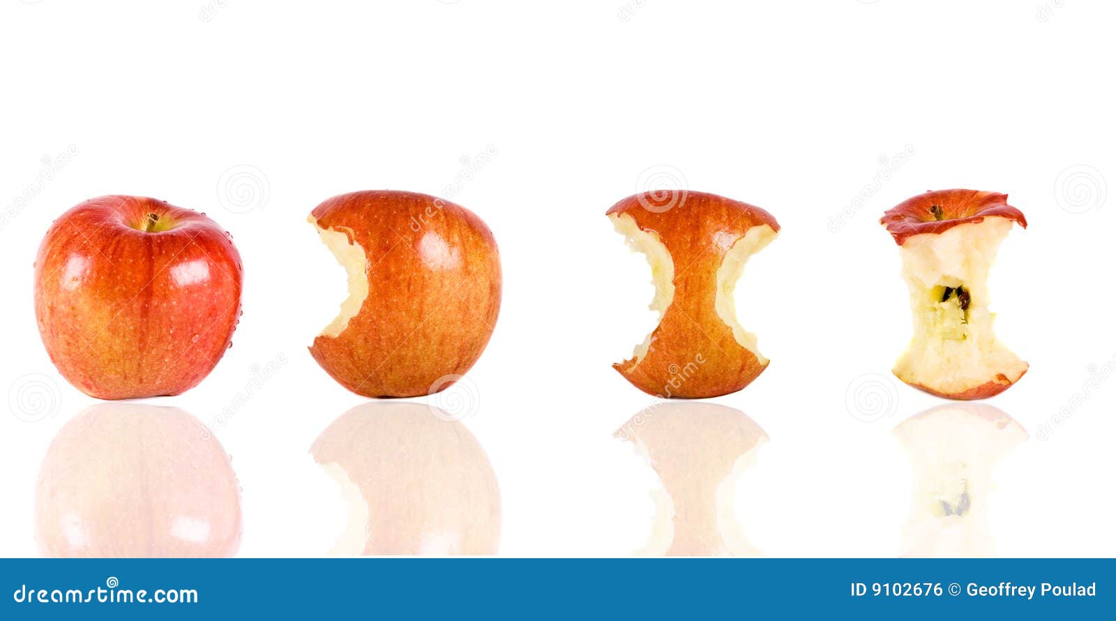 Eating an apple stock photo. Image of green, agriculture - 9102676