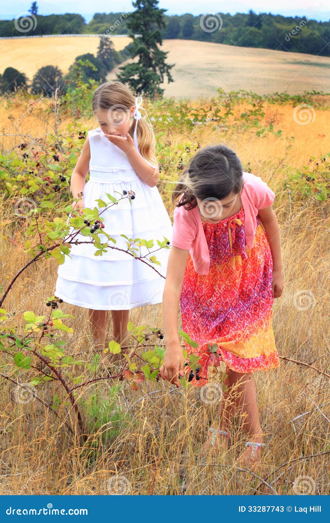 Eating Blackberries stock image. Image of dresses, people - 33287743 Eating Blackberries stock image. Image of dresses, people - 33287743