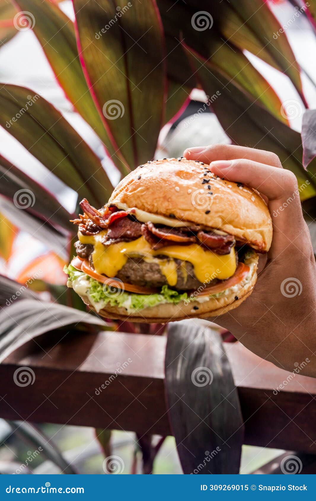 Eating Cheeseburger in a a Balcony with Trees Stock Image - Image of ...
