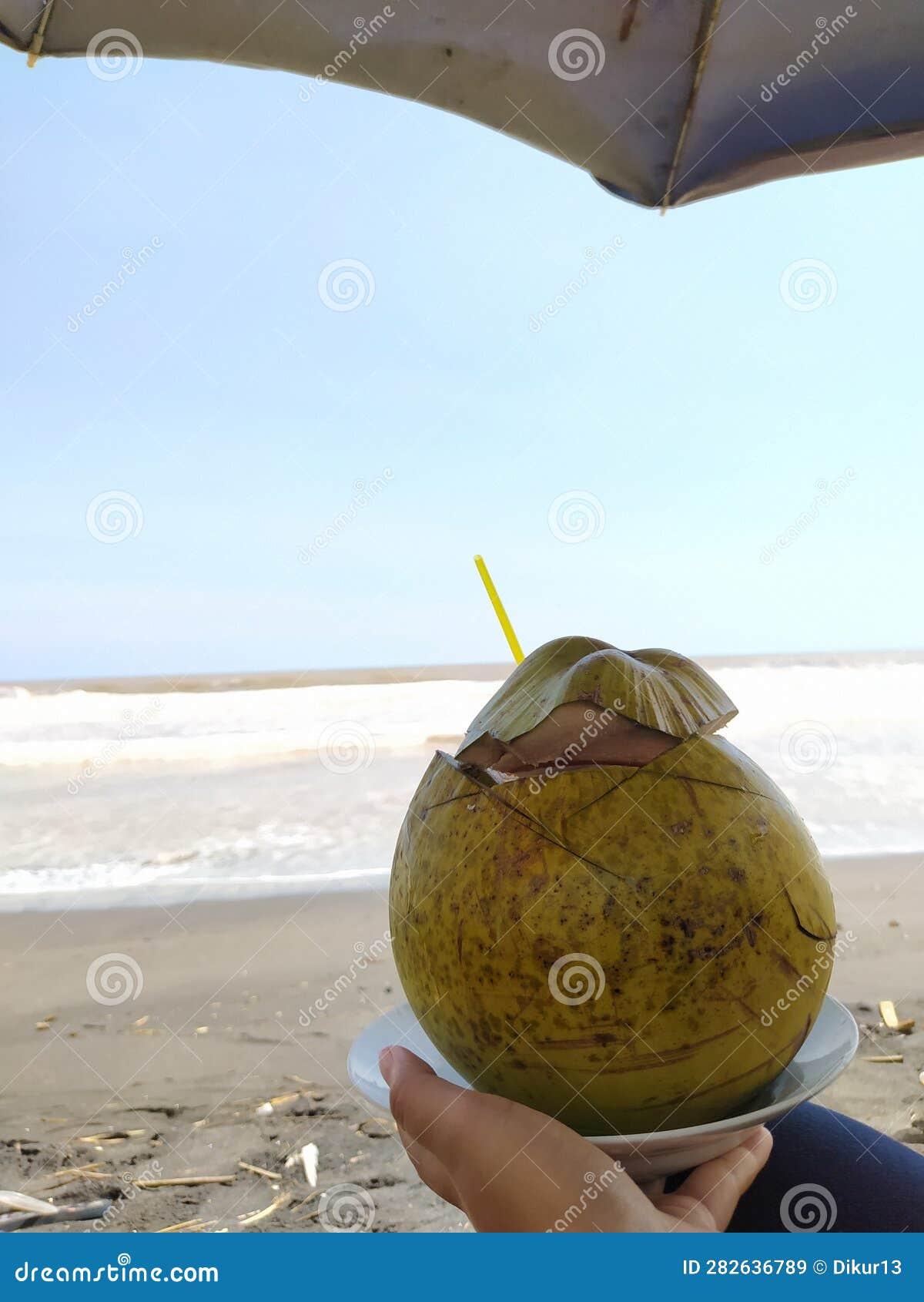 Eating and Drinking a Coconut on the Beach Stock Image - Image of shore ...