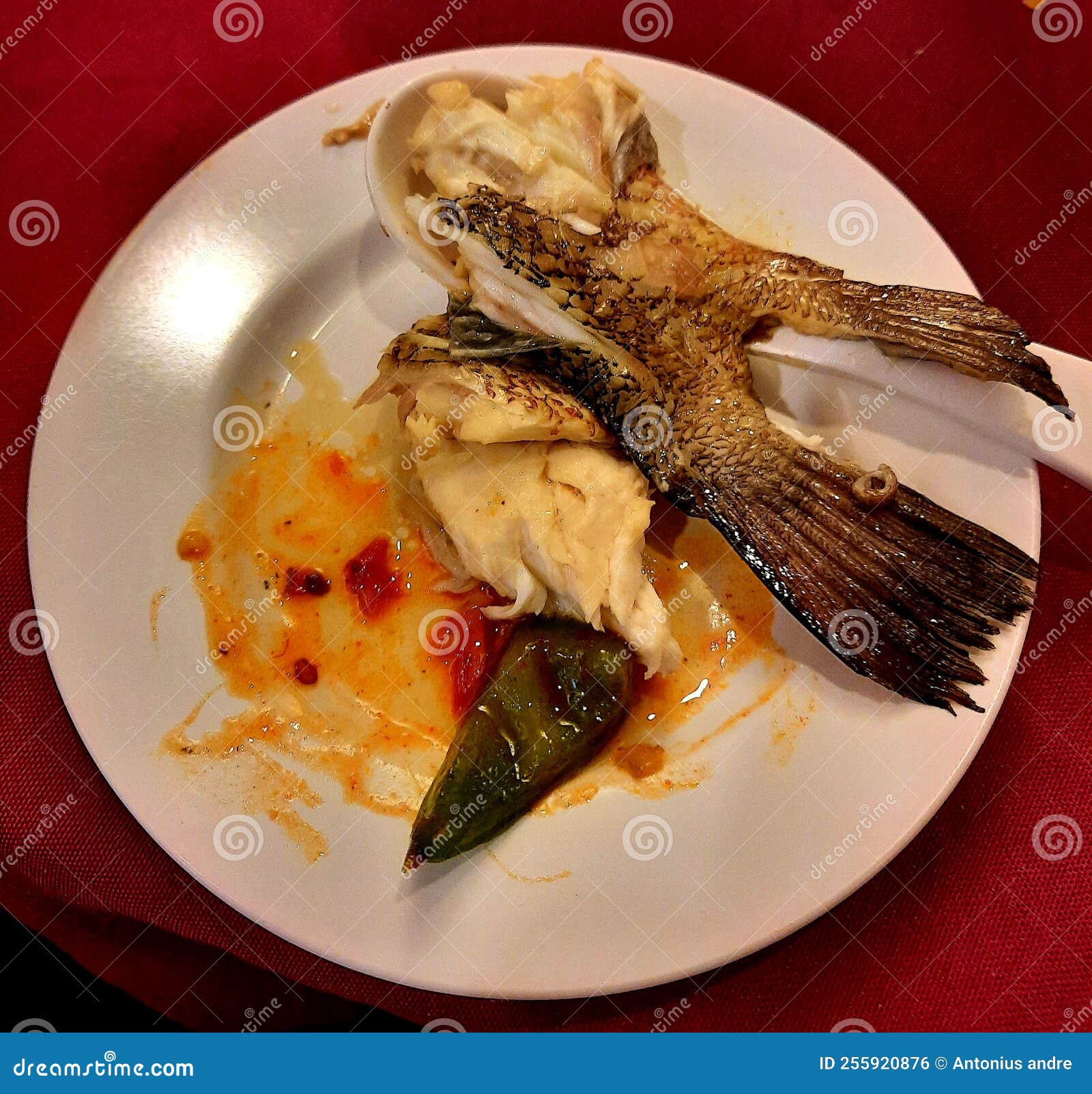 Eating a Fish Tail at People& X27;s Weddings Stock Photo - Image of ...